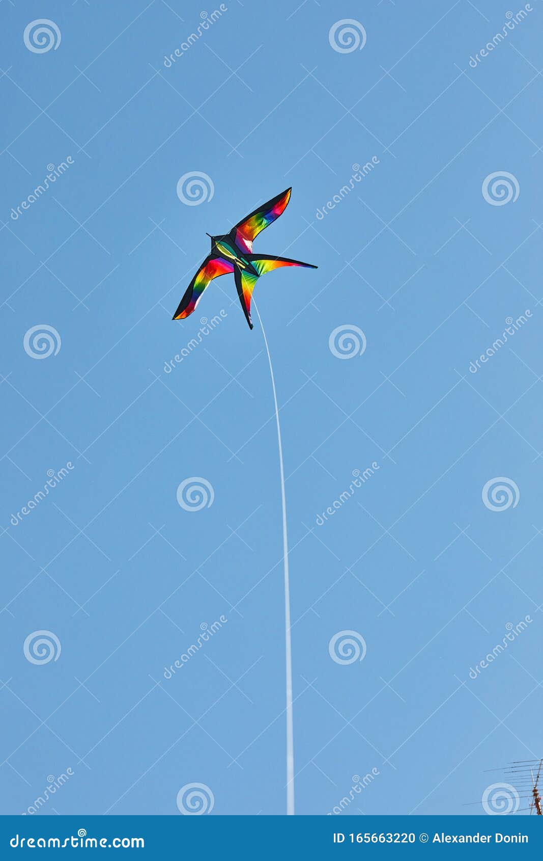 Kite Flying on a Rope in the Blue Sky on a Bright Sunny Day Stock Photo ...