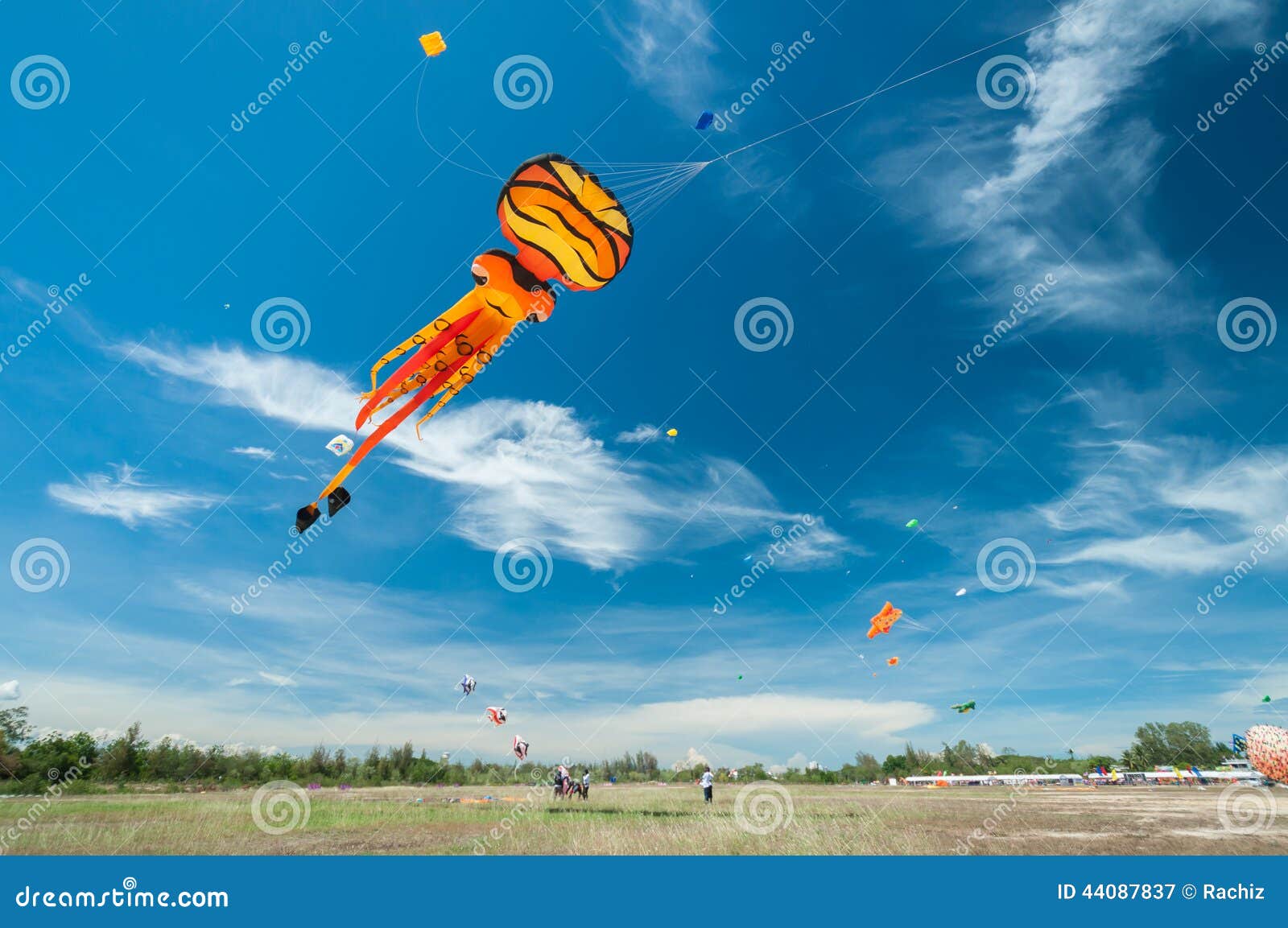 Kite octopus stock image. Image of flying, pursuit, activity - 44087837