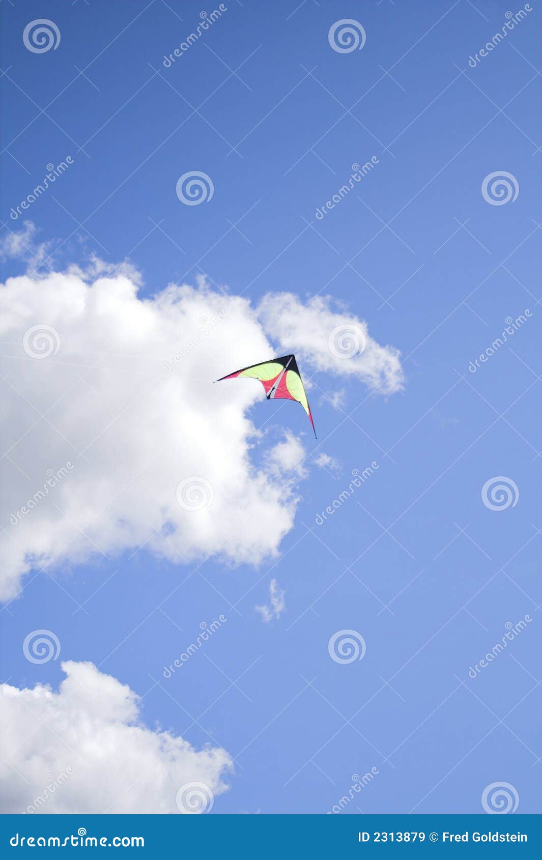 Kite in the sky stock image. Image of sunny, landscape - 2313879