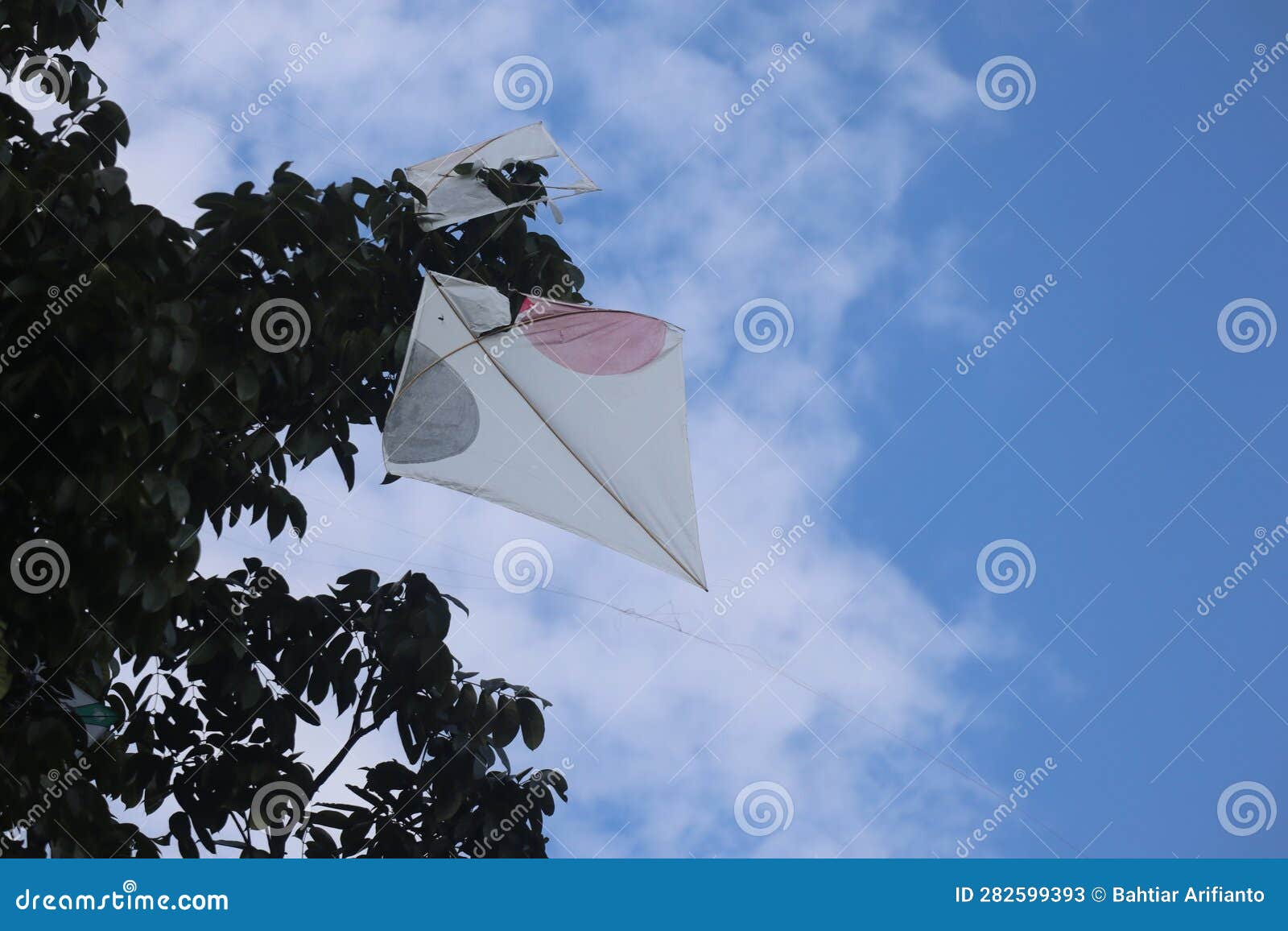 Kite stuck in a tree stock image. Image of advertising - 282599393