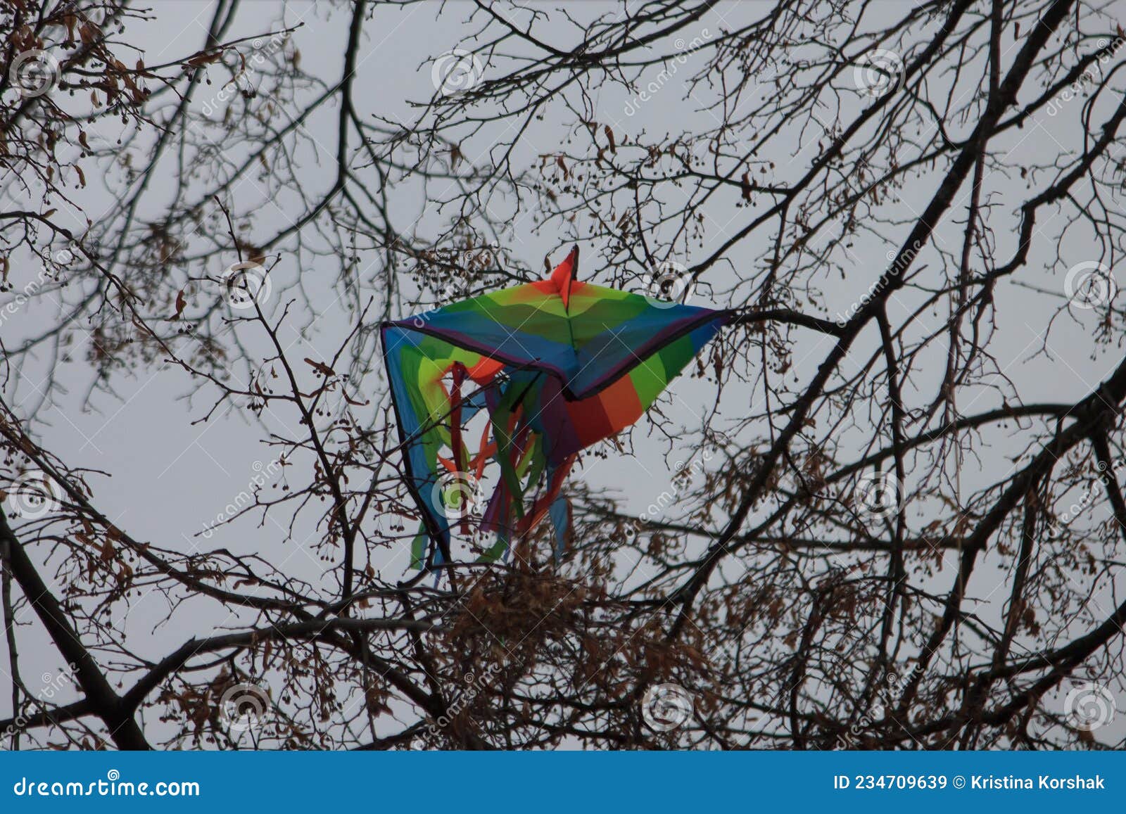 Kite Stuck in the Tree with Blue Sky Stock Image - Image of colorful ...