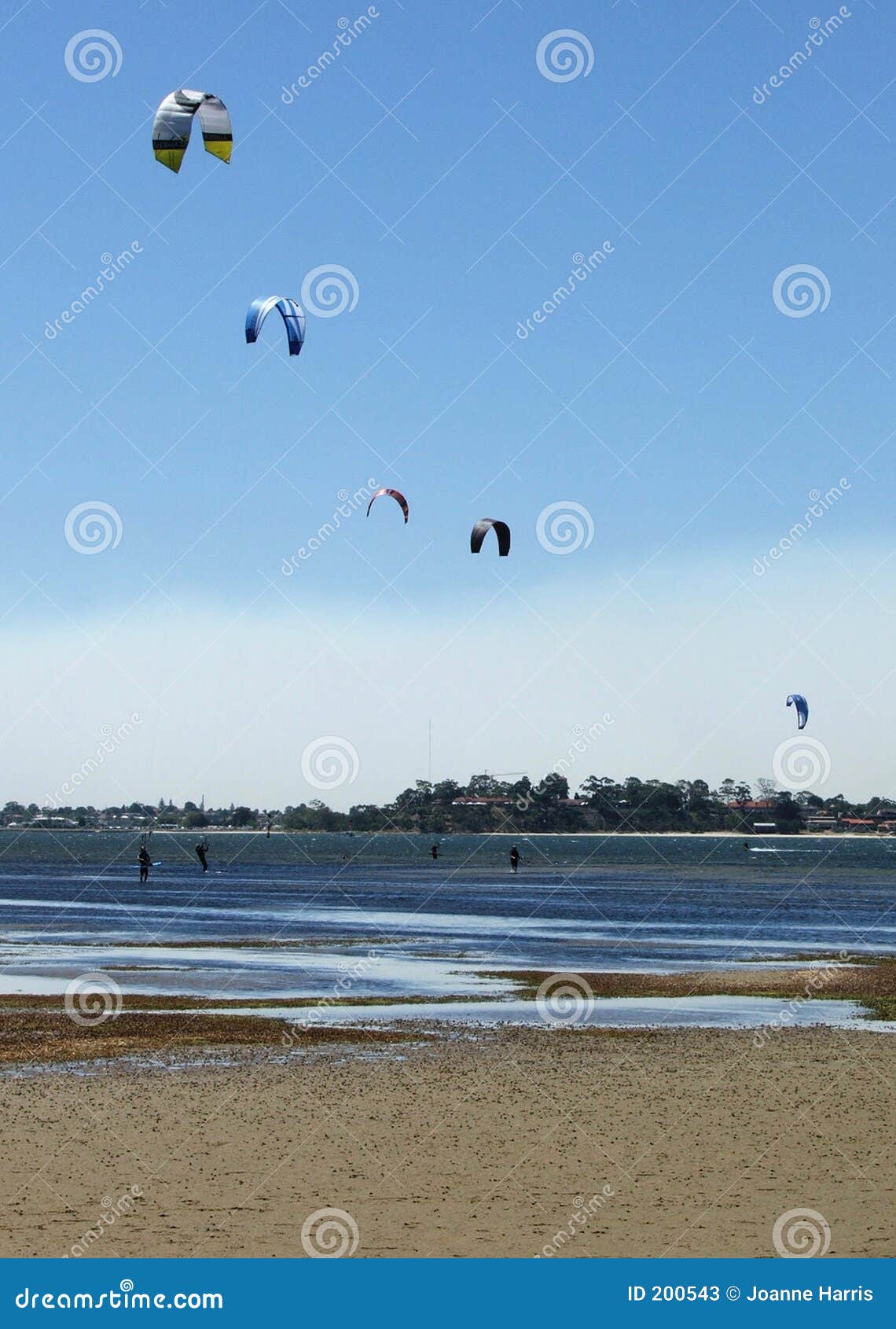 Kite surfers stock image. Image of blue, harbour, danger - 200543