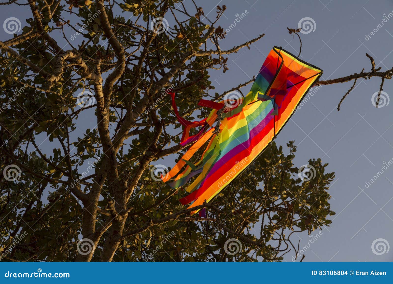 Kite Tangled on Tree Branches Stock Photo - Image of rainbow, festival ...