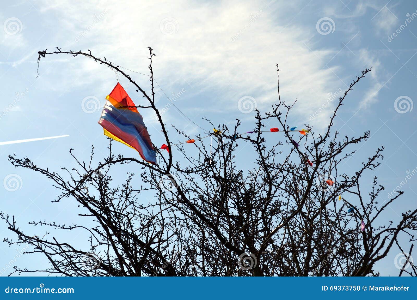 Kite Trapped in a Tree during Springtime Stock Photo - Image of crash ...