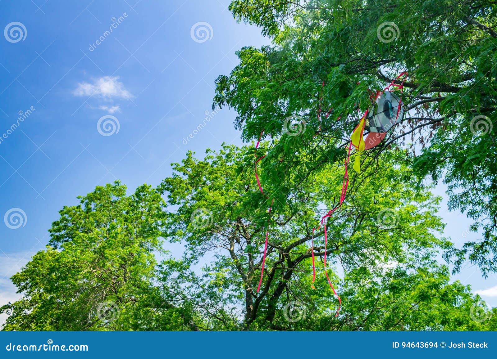 Kite in a tree stock photo. Image of season, tangled - 94643694