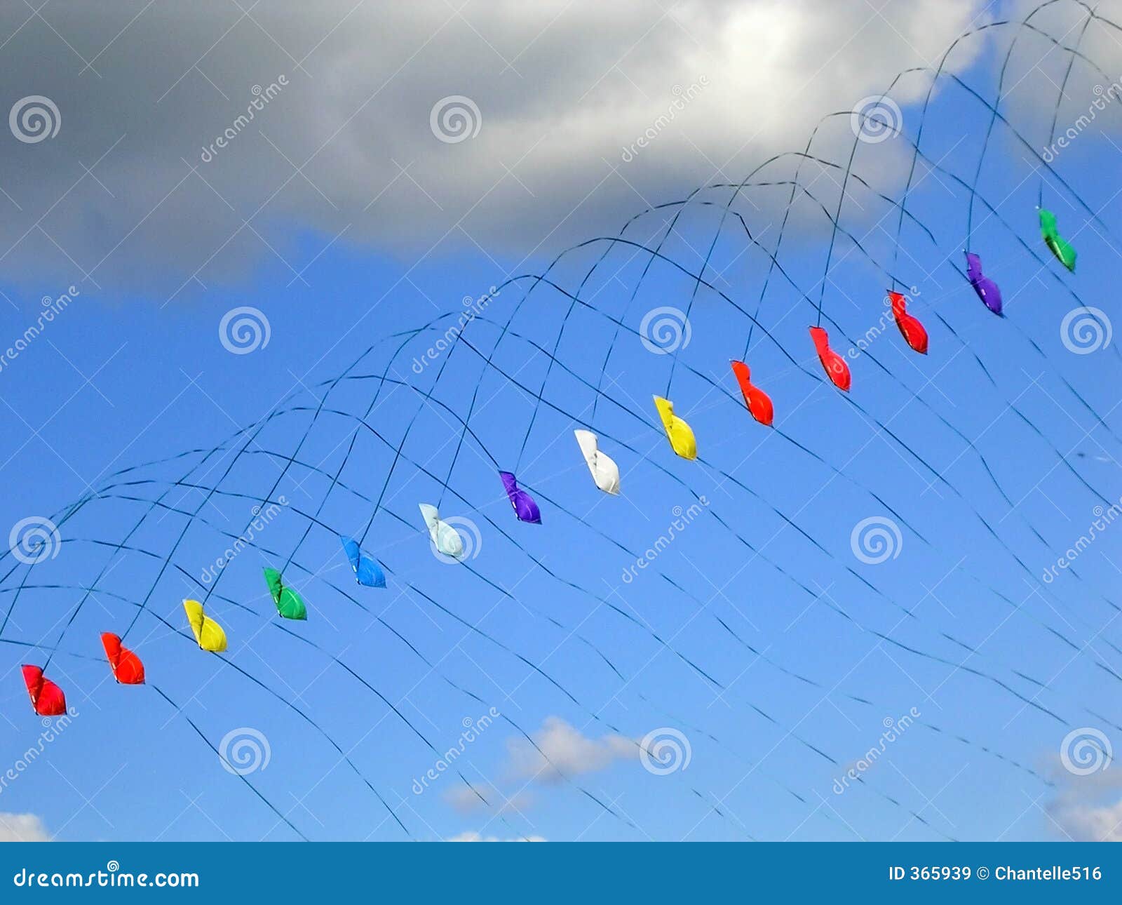 Kites stock image. Image of outdoor, hobby, kites, trace - 365939