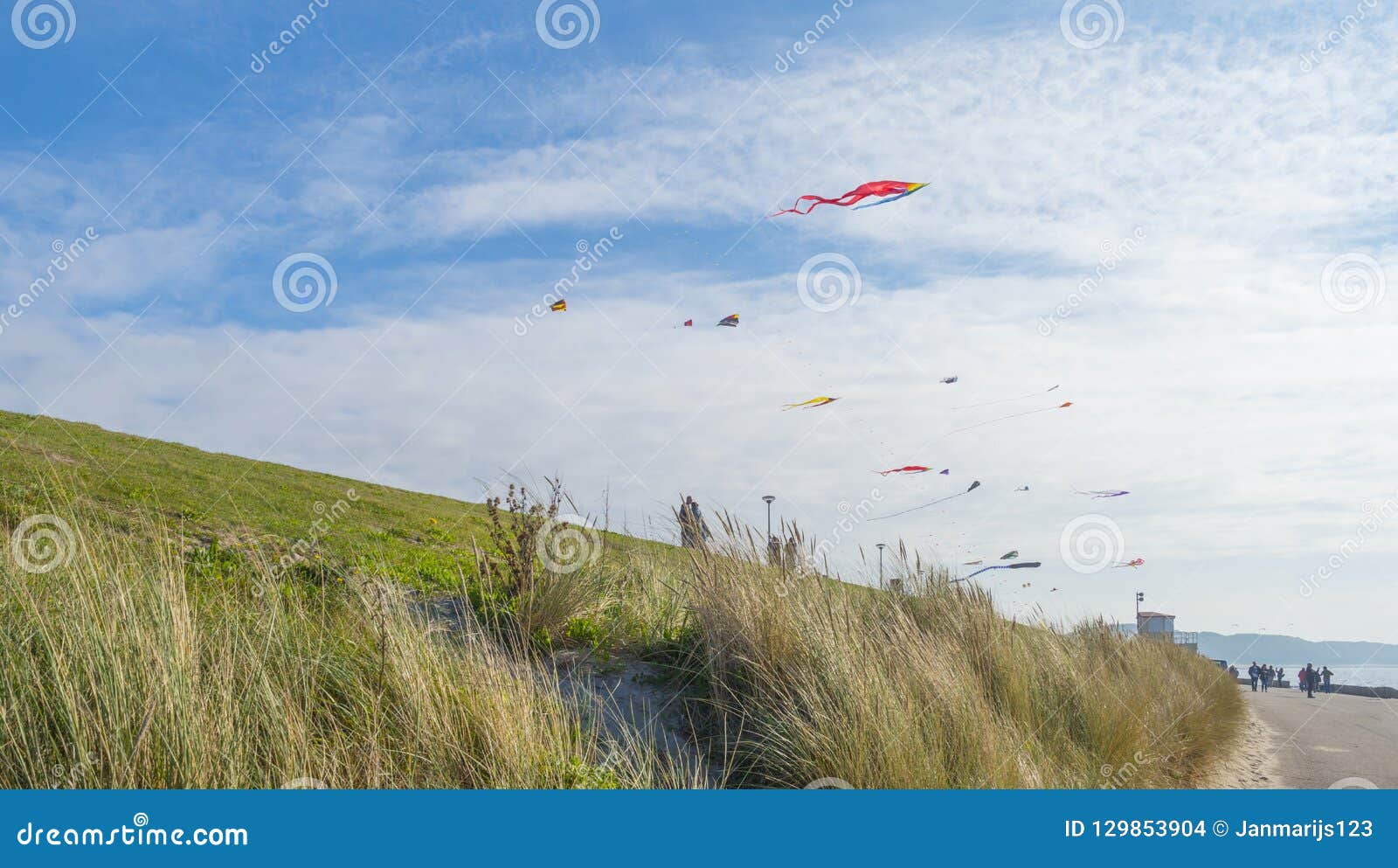 Kites Flying in the Wind in a Blue Sky in Sunlight at Fall Stock Photo ...