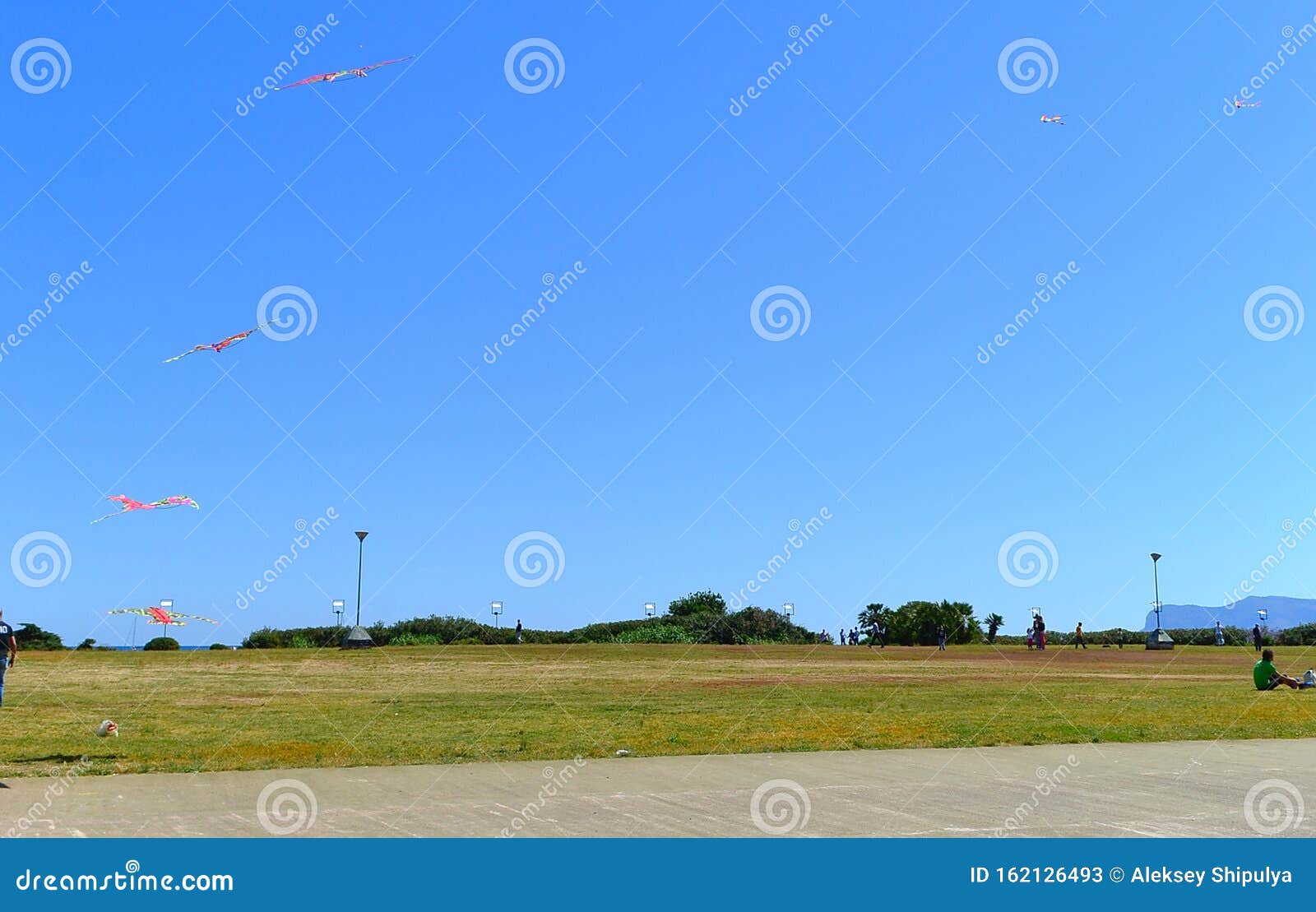 Kites in the Park in Summer Stock Image - Image of kites, park: 162126493