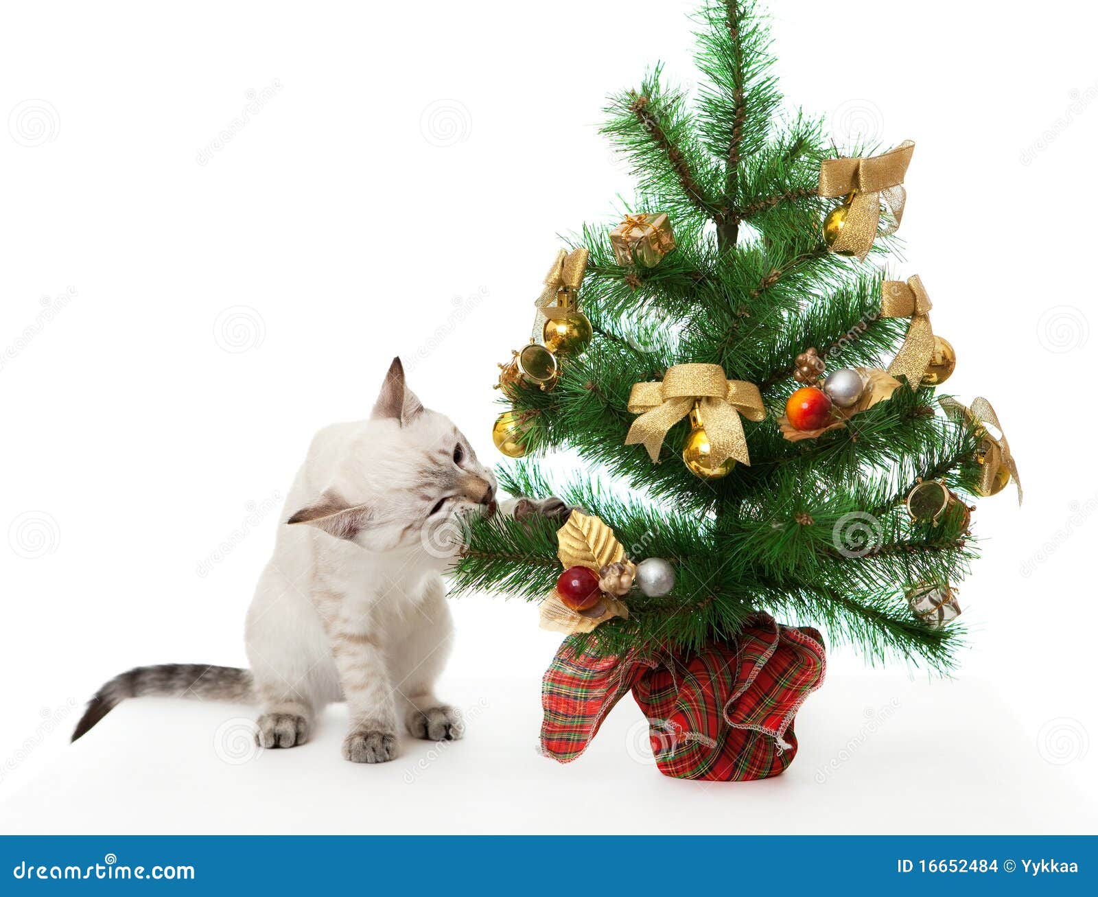 Kitten and Artificial Christmas Tree. Stock Photo - Image of artificial ...