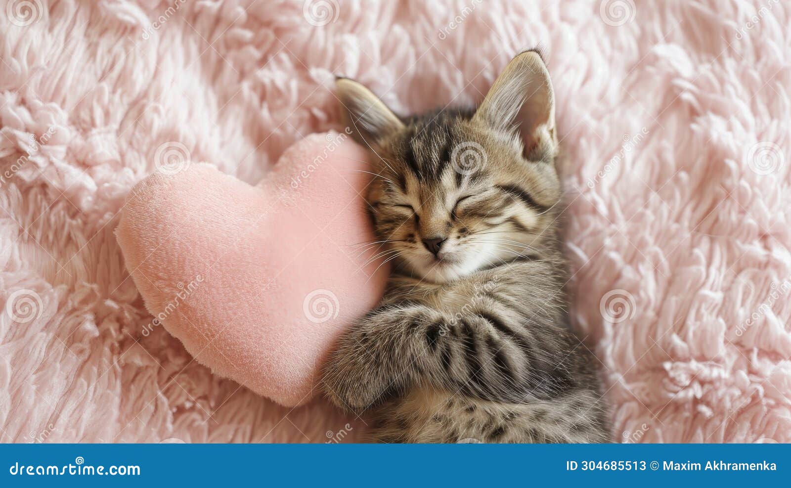 Kitten on a Blanket with a Soft Heart Stock Image - Image of kitten ...