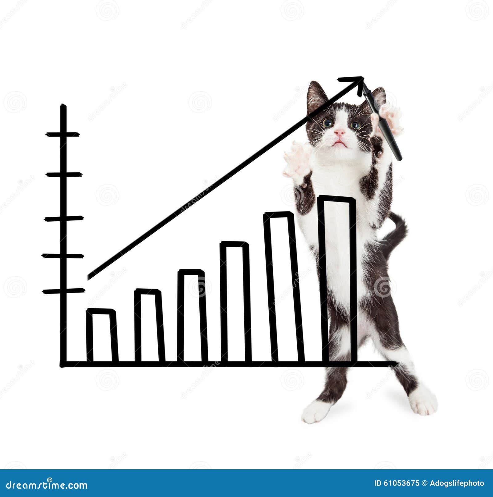 Kitten Drawing Increasing Sales Chart Stock Image - Image of drawing ...