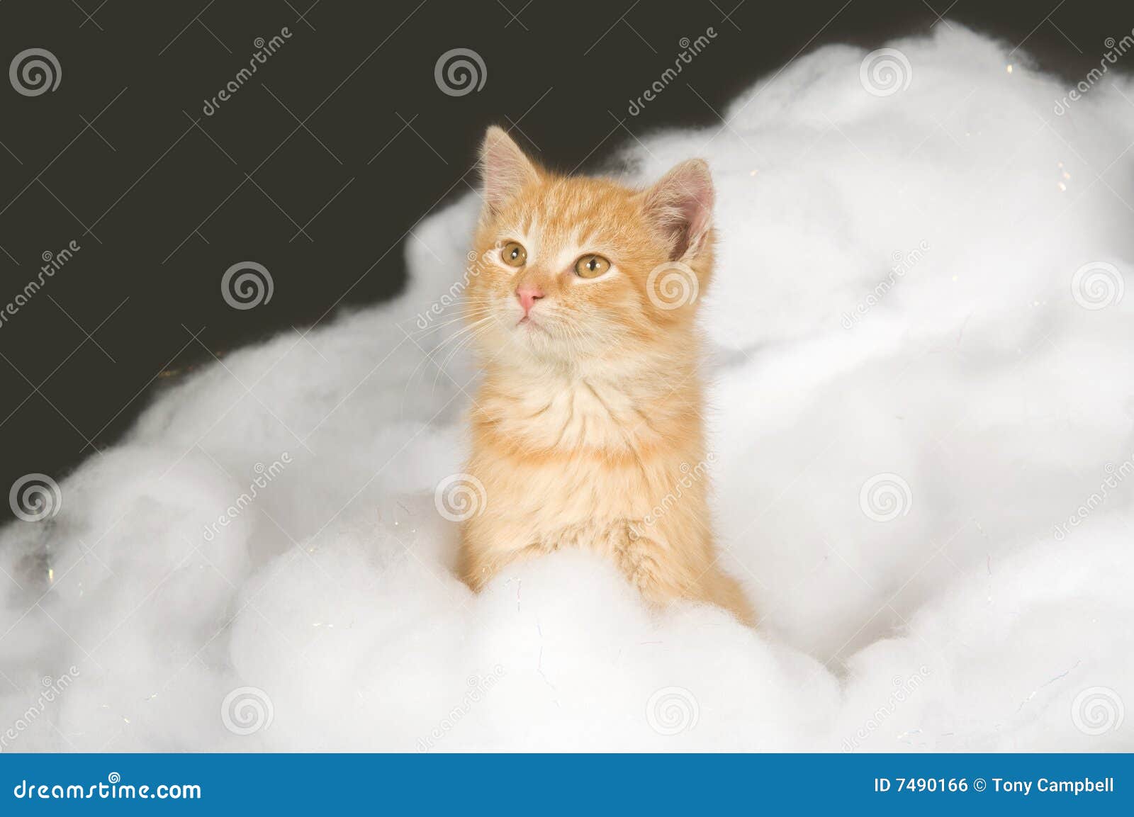 Fake Snow Pile Stock Photos - Free & Royalty-Free Stock Photos from ...