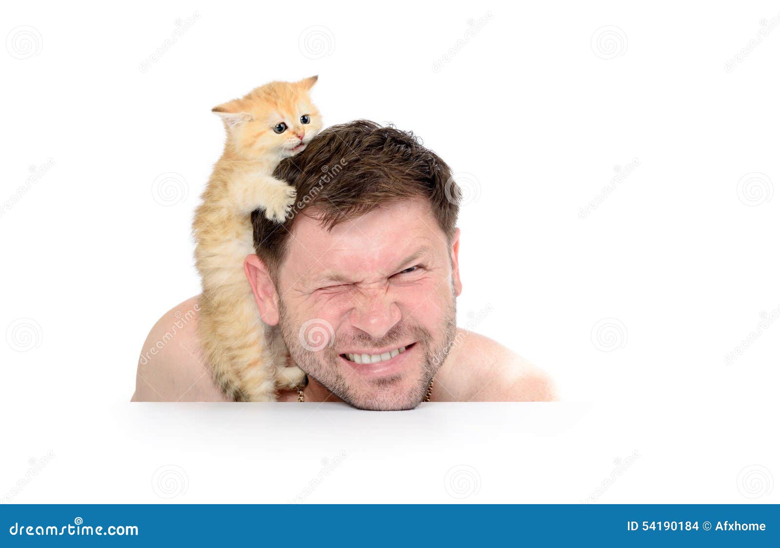 Kitten Grabbed the Man S Head on White Background Stock Photo - Image ...