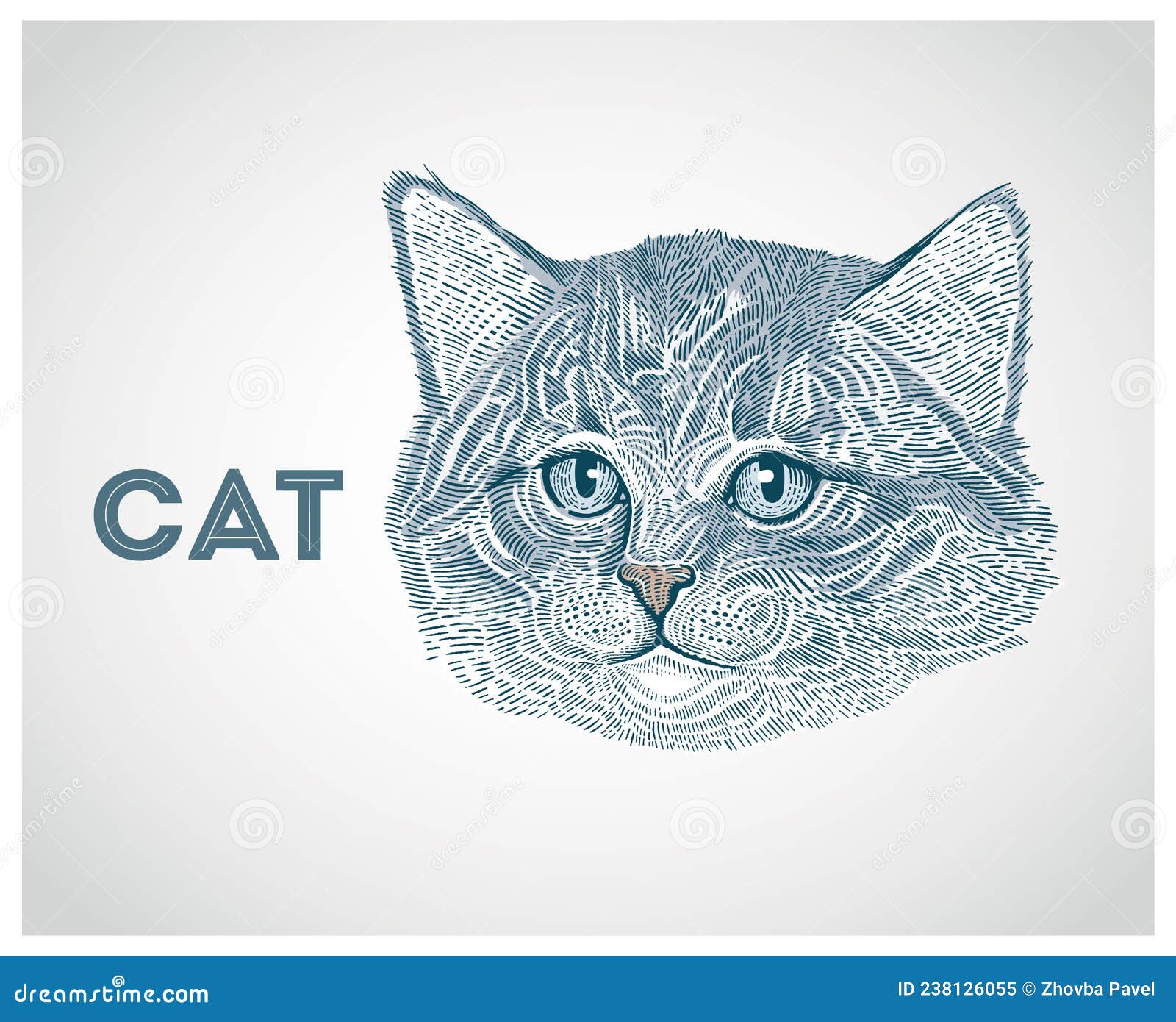 Kitten Head, Drawn in a Graphic Style Stock Vector - Illustration of ...