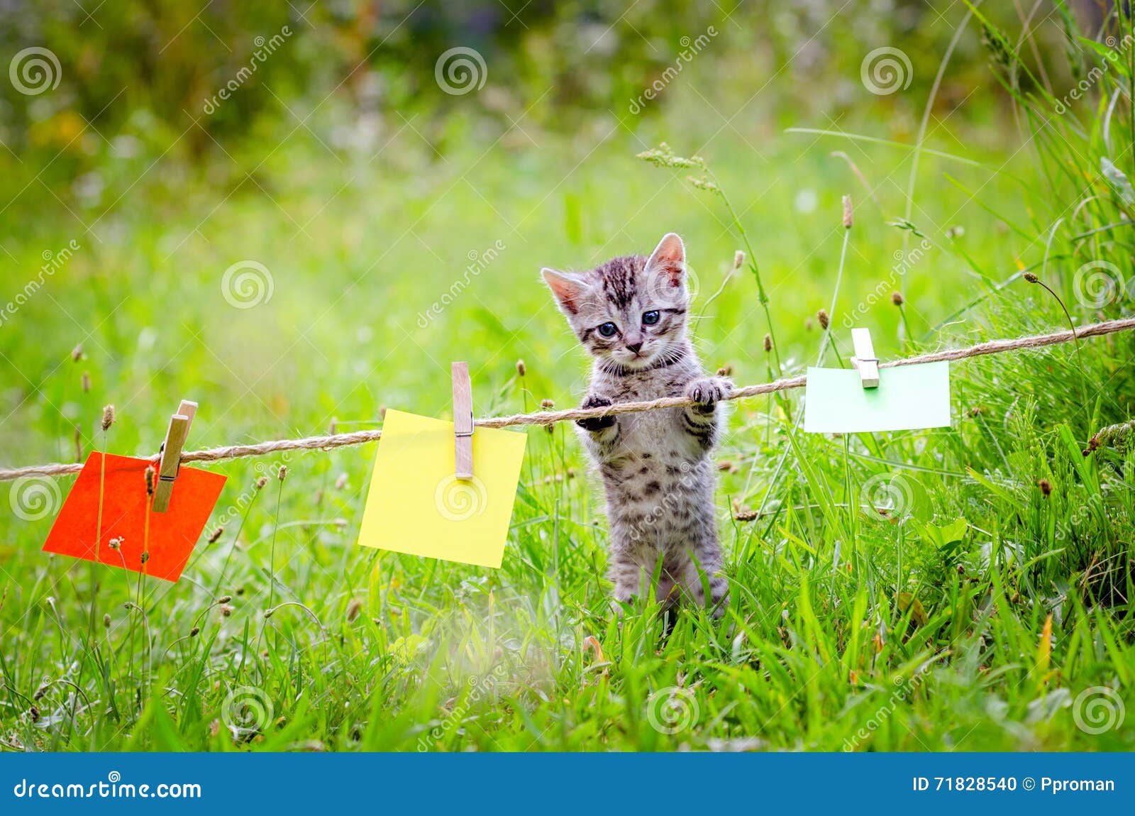 Stick Figure Grooming Stock Photos - Free & Royalty-Free Stock Photos ...