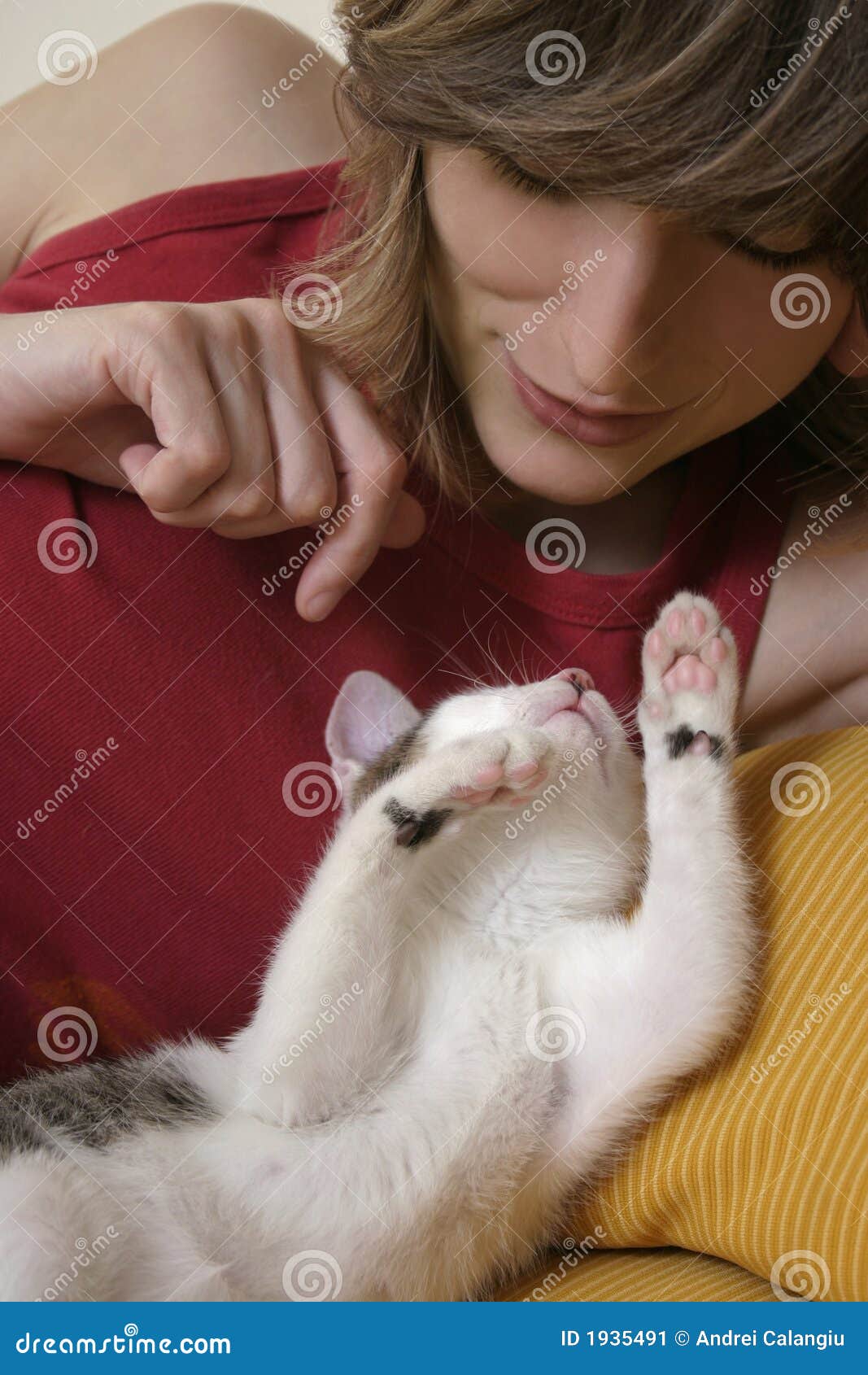 Kitten at play stock image. Image of grinning, care, curled - 1935491