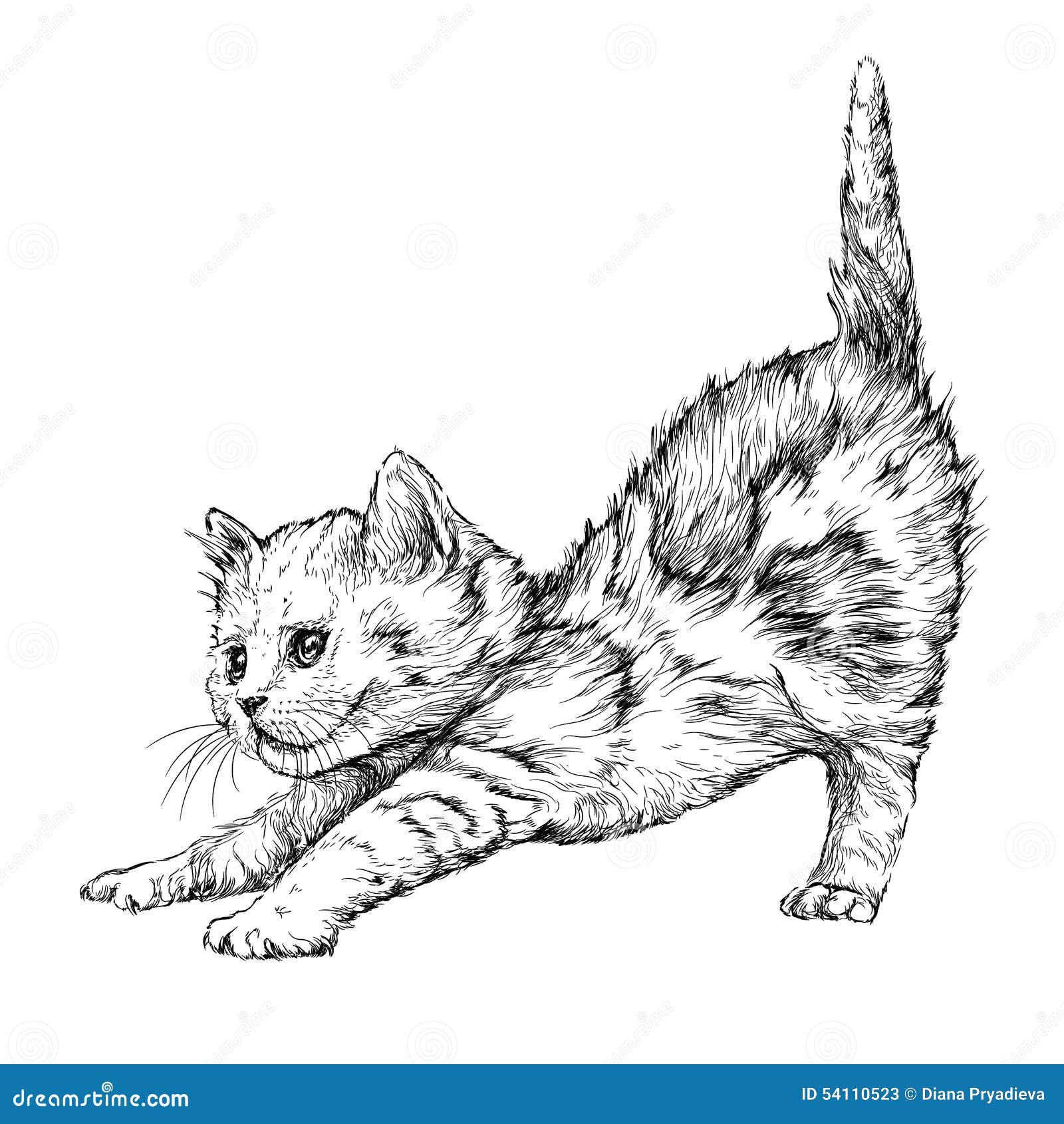 Kitten Playing. Hand Drawn Illustration. Stock Vector - Illustration of ...