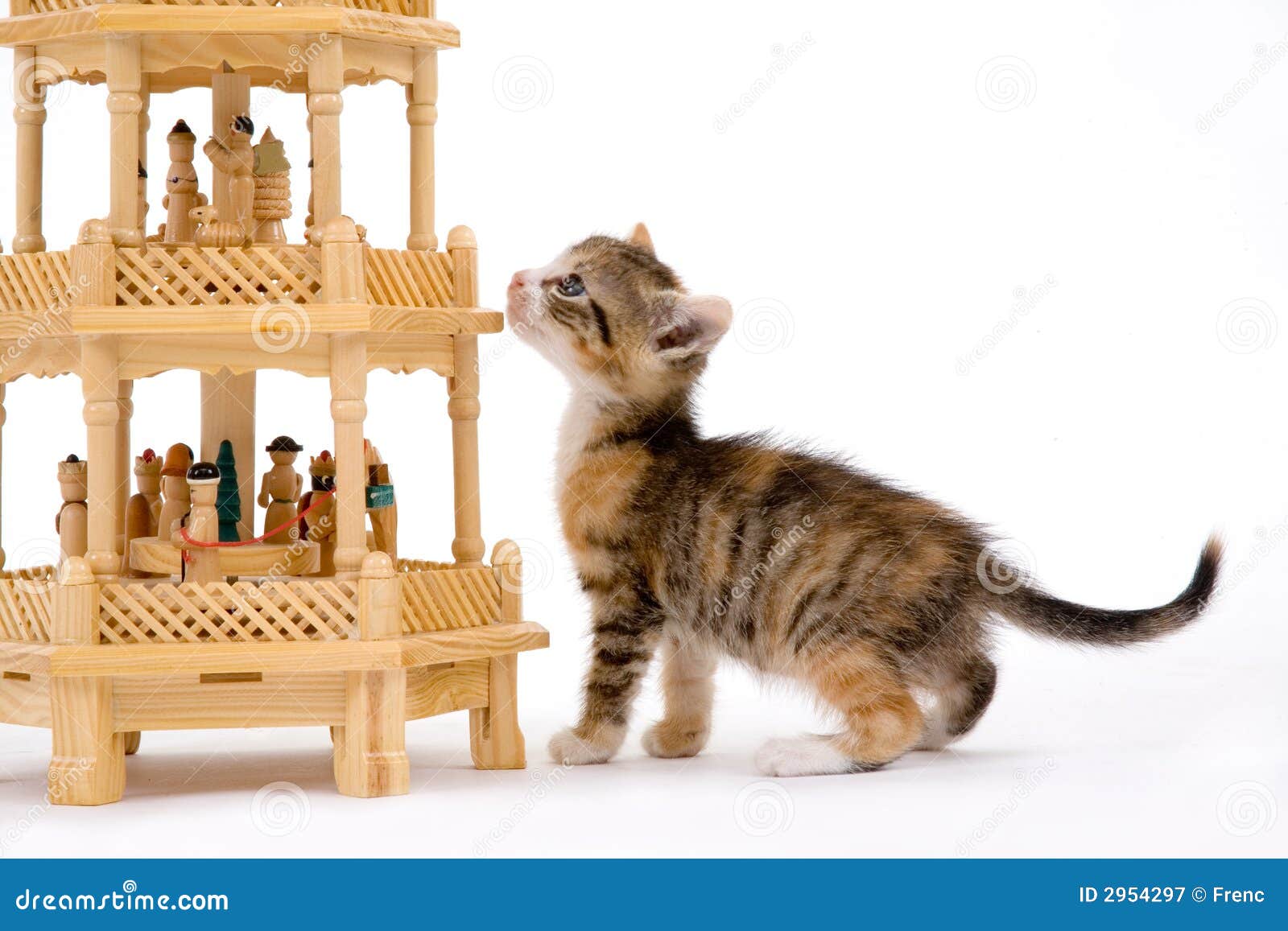 Kitten Pyramid Stock Photos - Free & Royalty-Free Stock Photos from ...