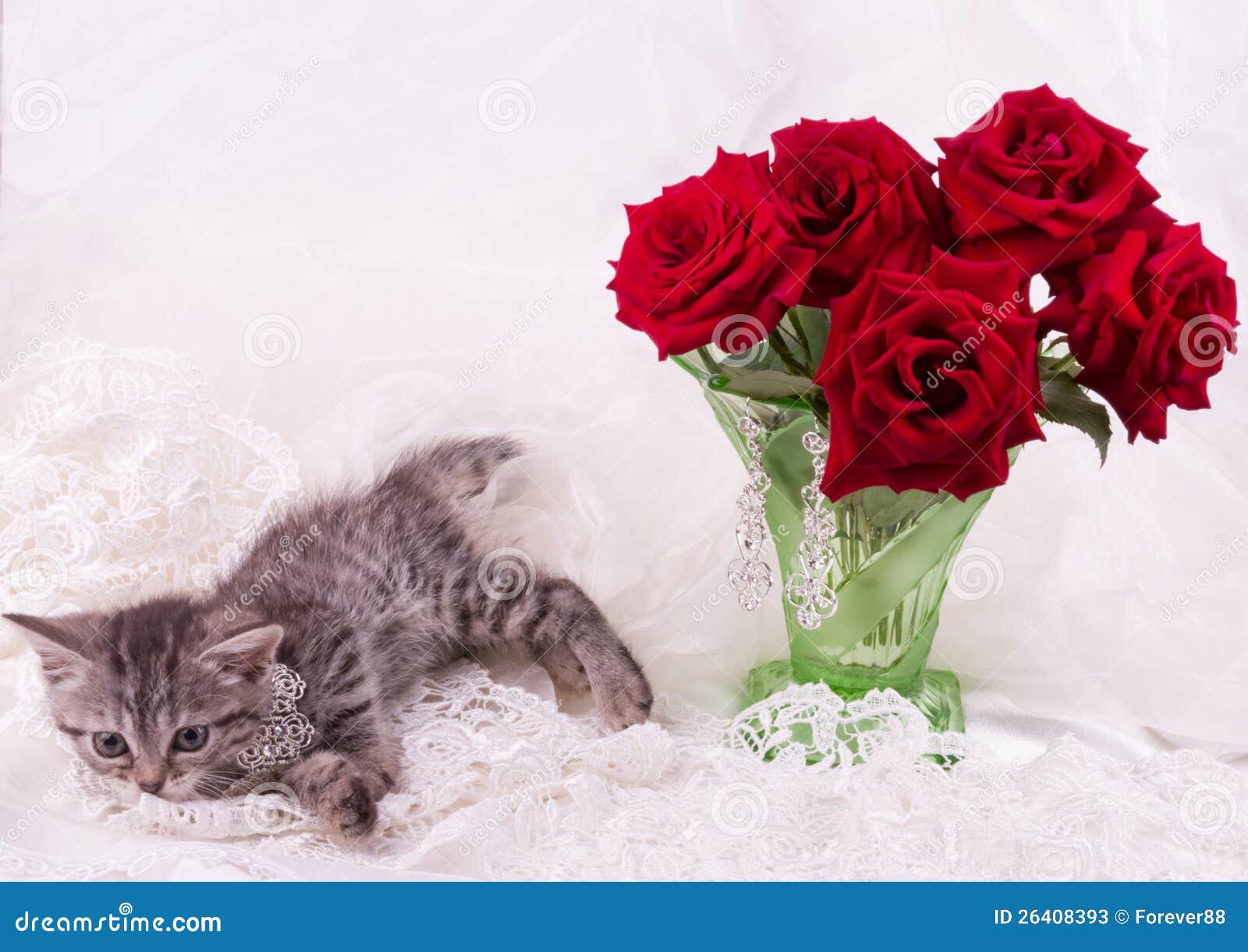 Kitten with red roses stock image. Image of looking, leafs - 26408393