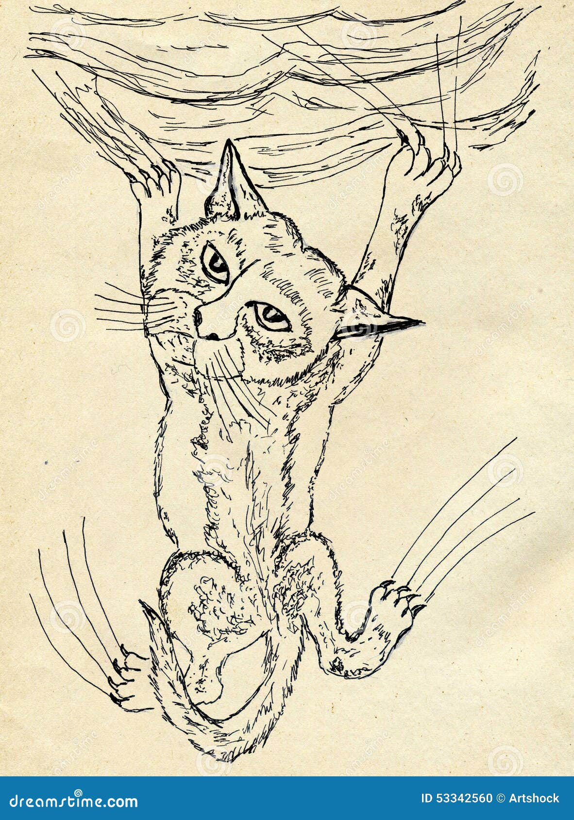 Kitten Scratching Sketch stock illustration. Illustration of scribble ...