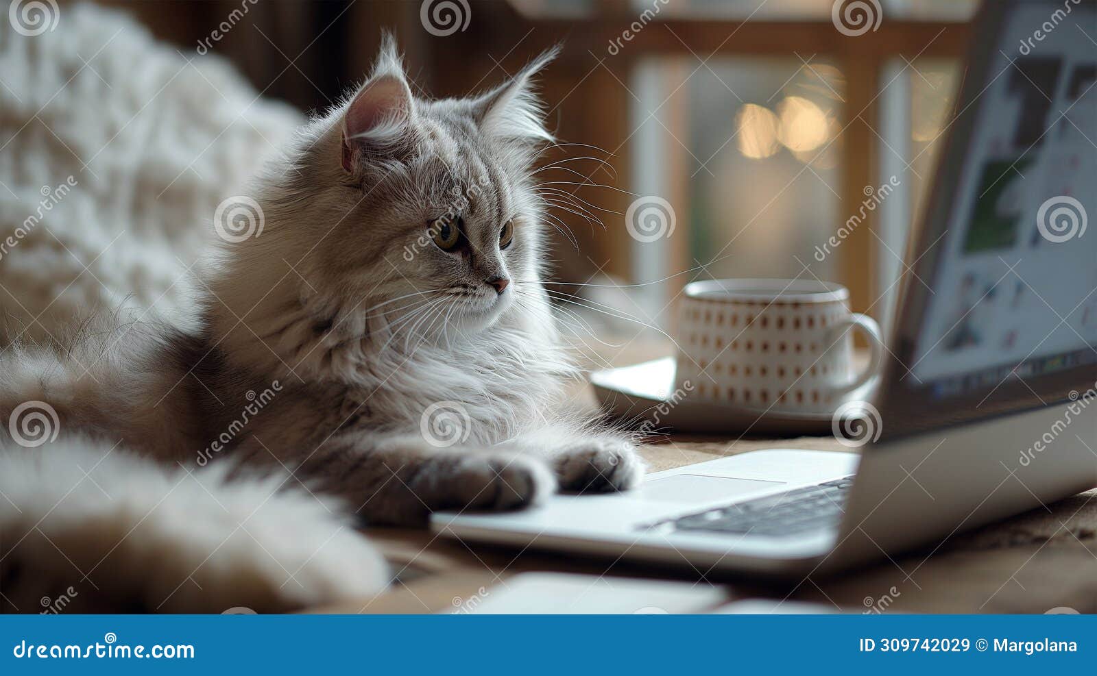 Kitten Sitting and Looking at Computer Screen Stock Illustration ...