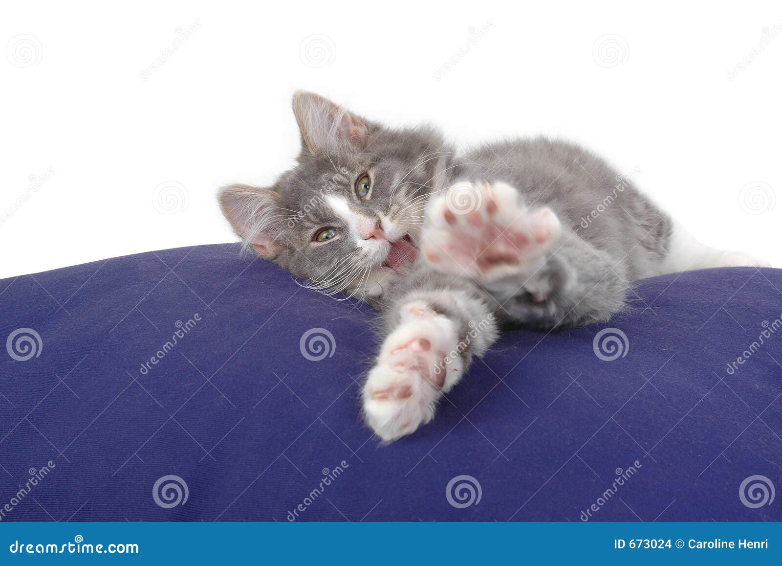 Kitten stretching stock photo. Image of mammals, cushion - 673024