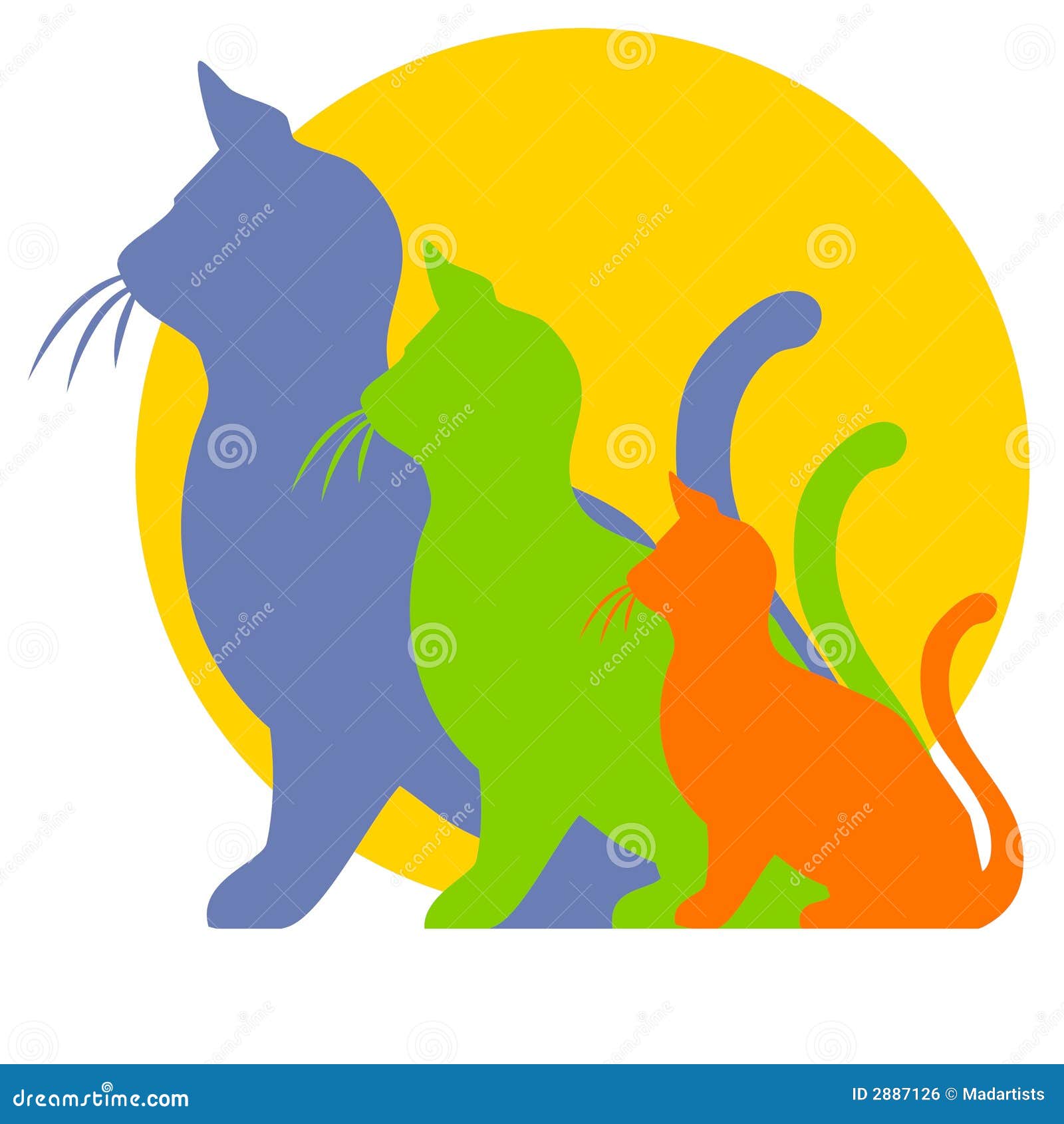 Growth Cat. Kitten Playing Pets Stages Growing Domestic Animal Exact ...