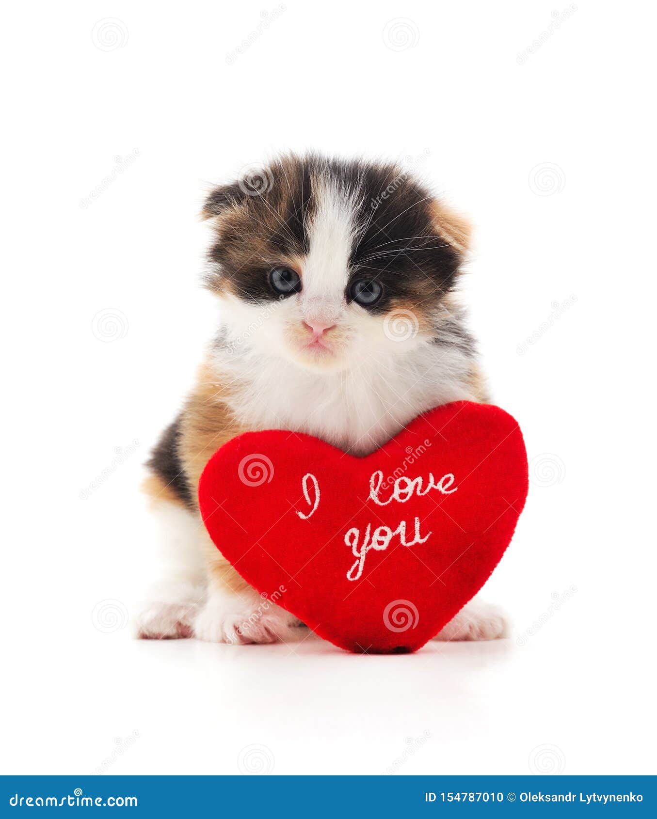 Kitten with toy heart stock photo. Image of playing - 154787010