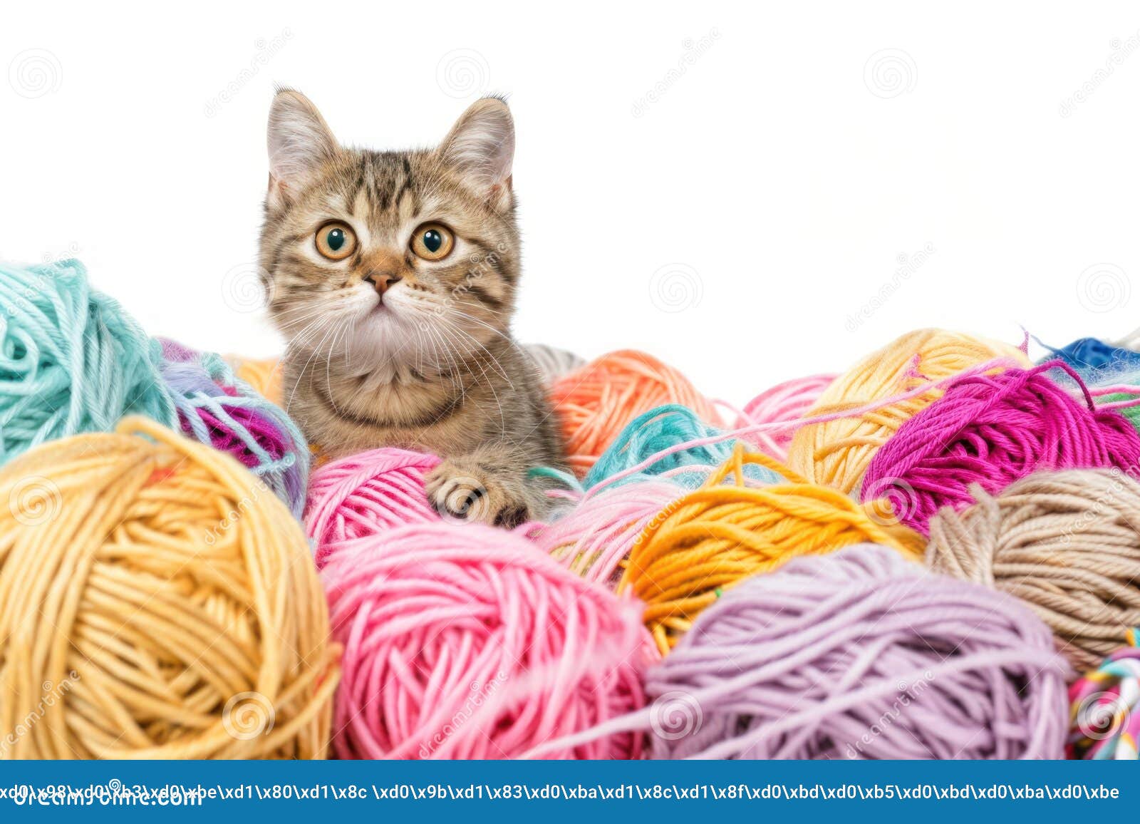 Kitty in Pile of Yarn String White Background Stock Illustration ...