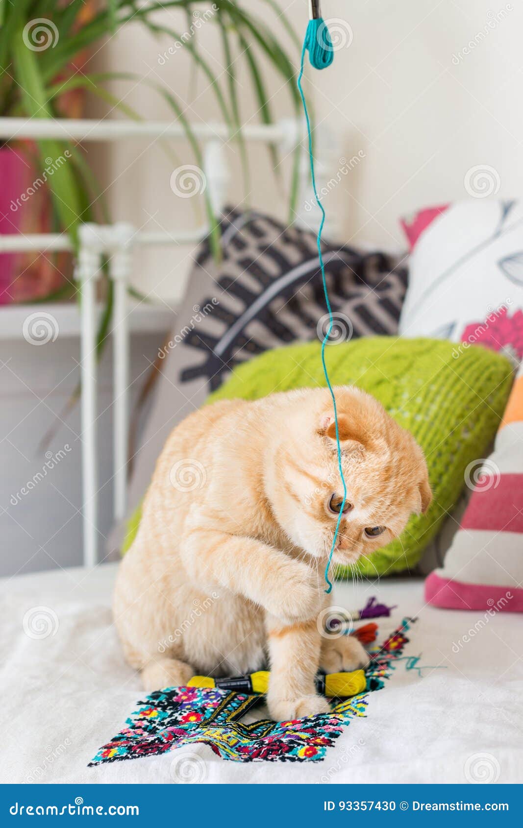 Kitty plays stock photo. Image of embroidery, crosstitch - 93357430