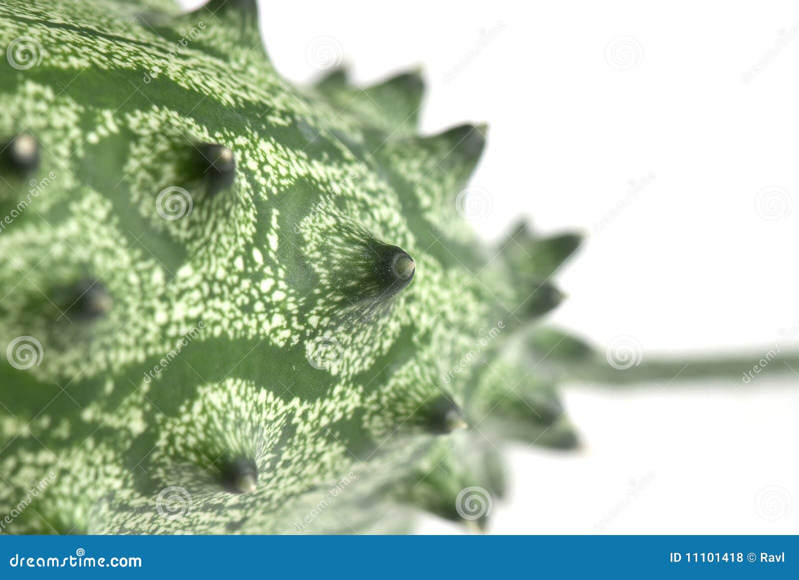 Kiwano stock photo. Image of health, anguriya, nature - 11101418