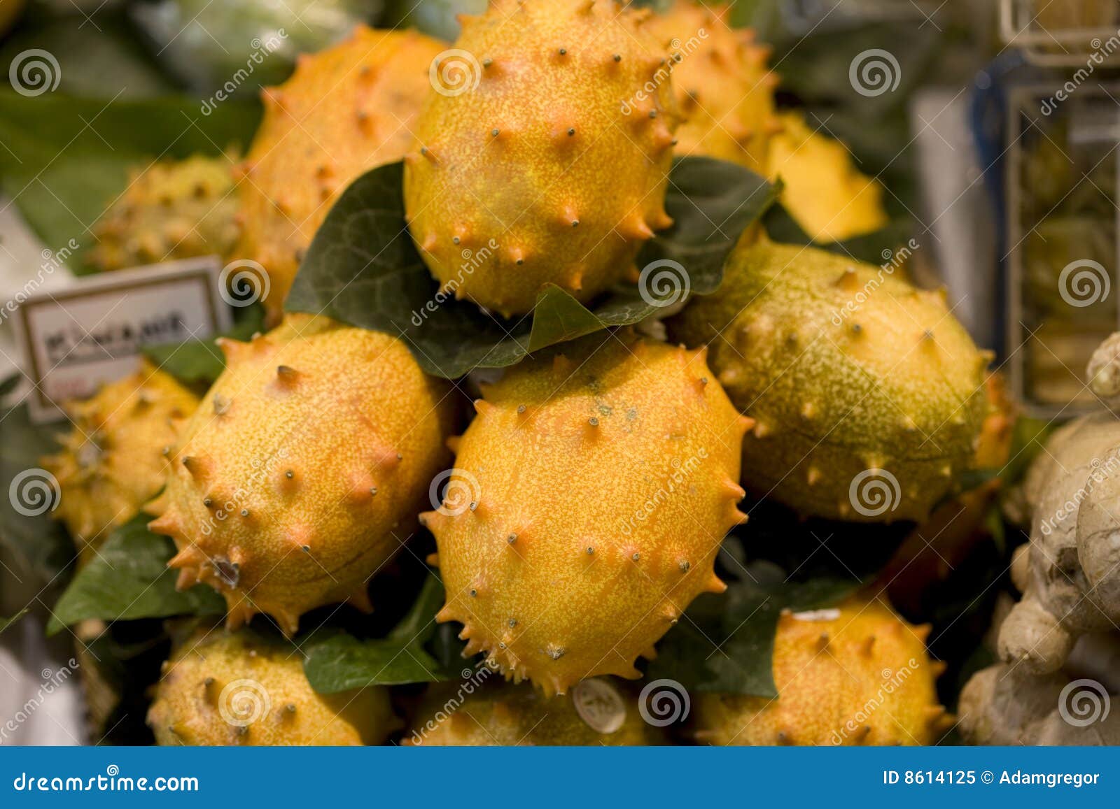 Kiwano stock image. Image of produce, food, exotic, melon - 8614125