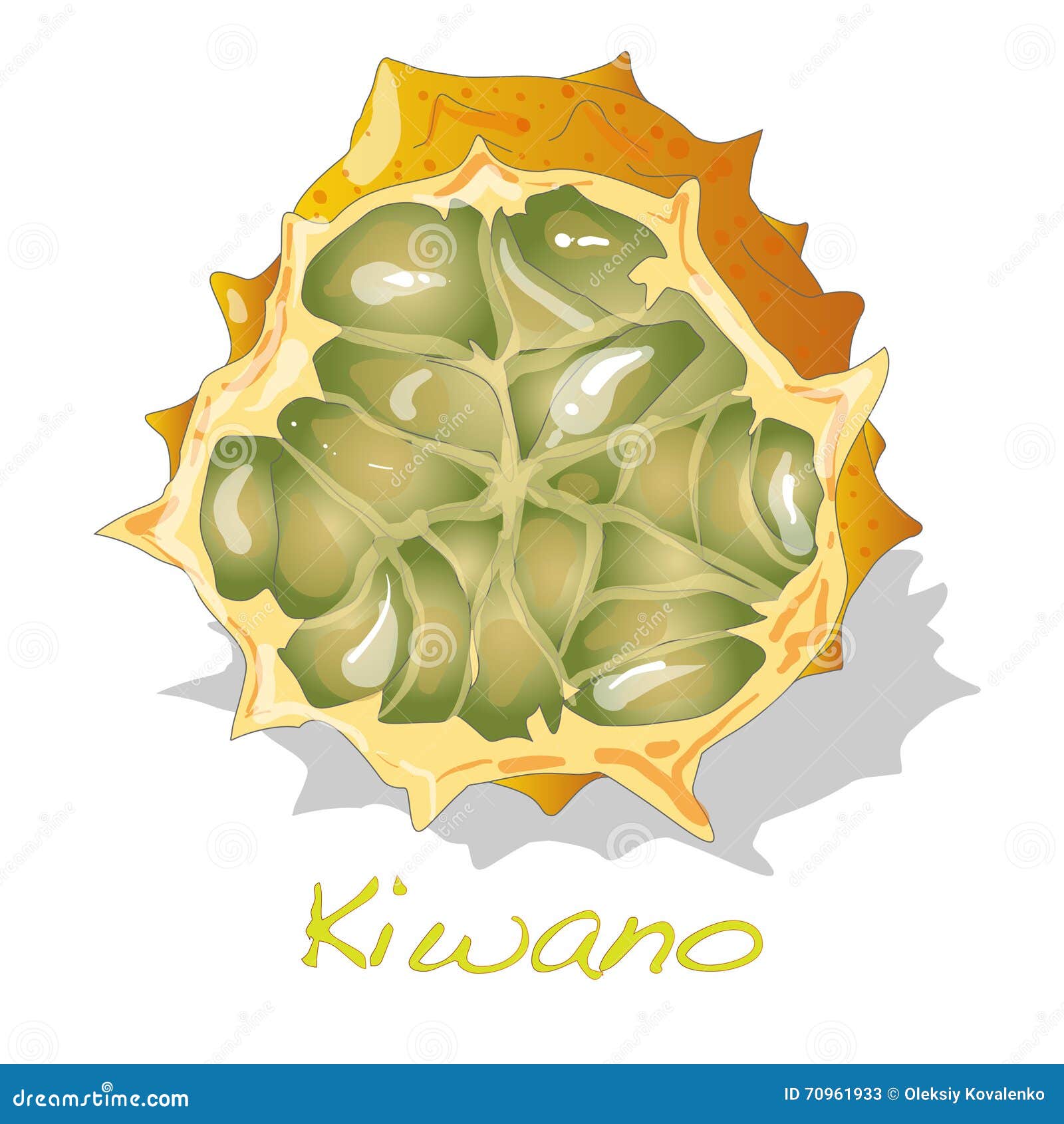 Kiwano melon vector stock vector. Illustration of tropical - 70961933