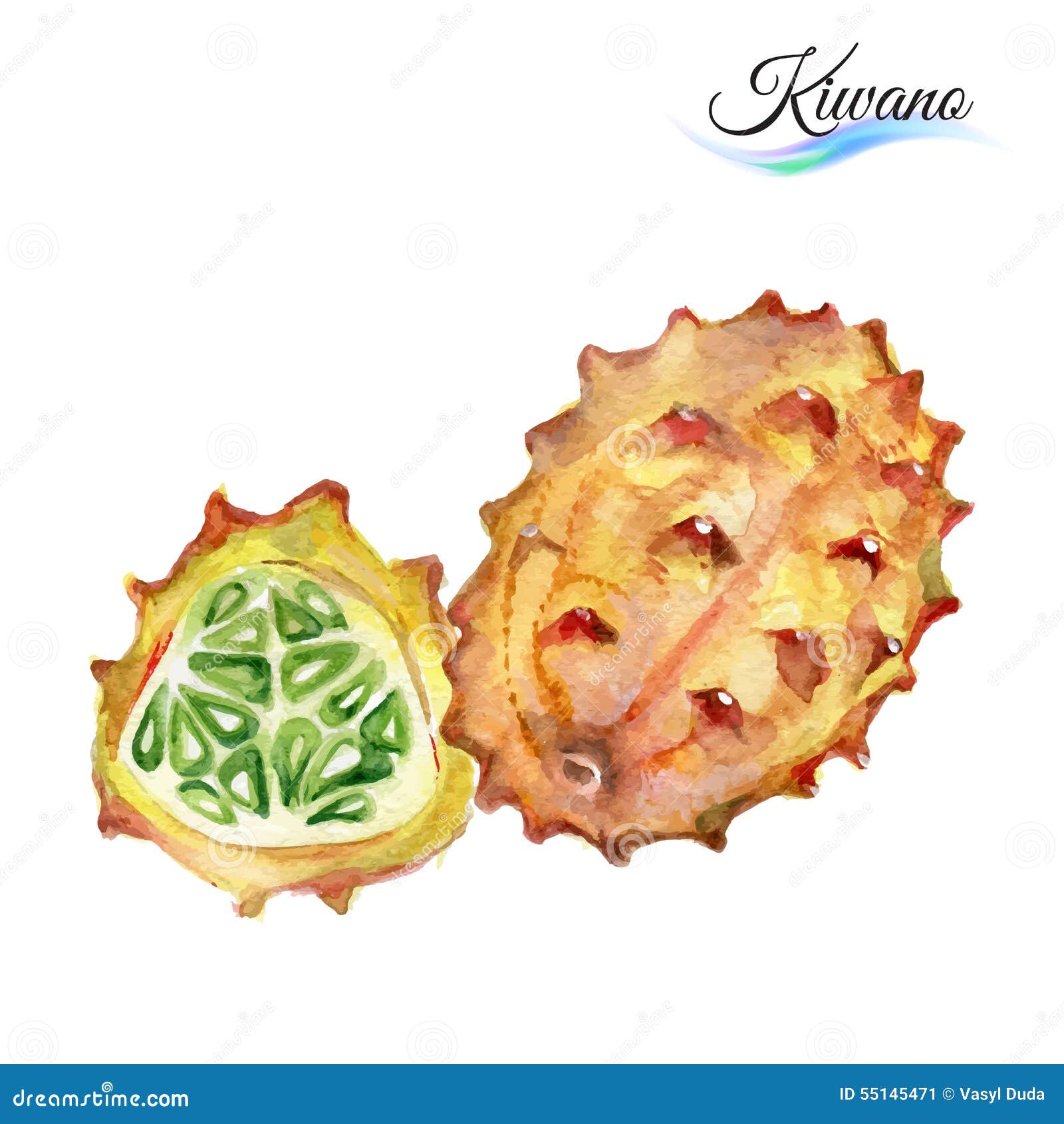 Kiwano stock vector. Illustration of drawn, fruit, kiwano - 55145471