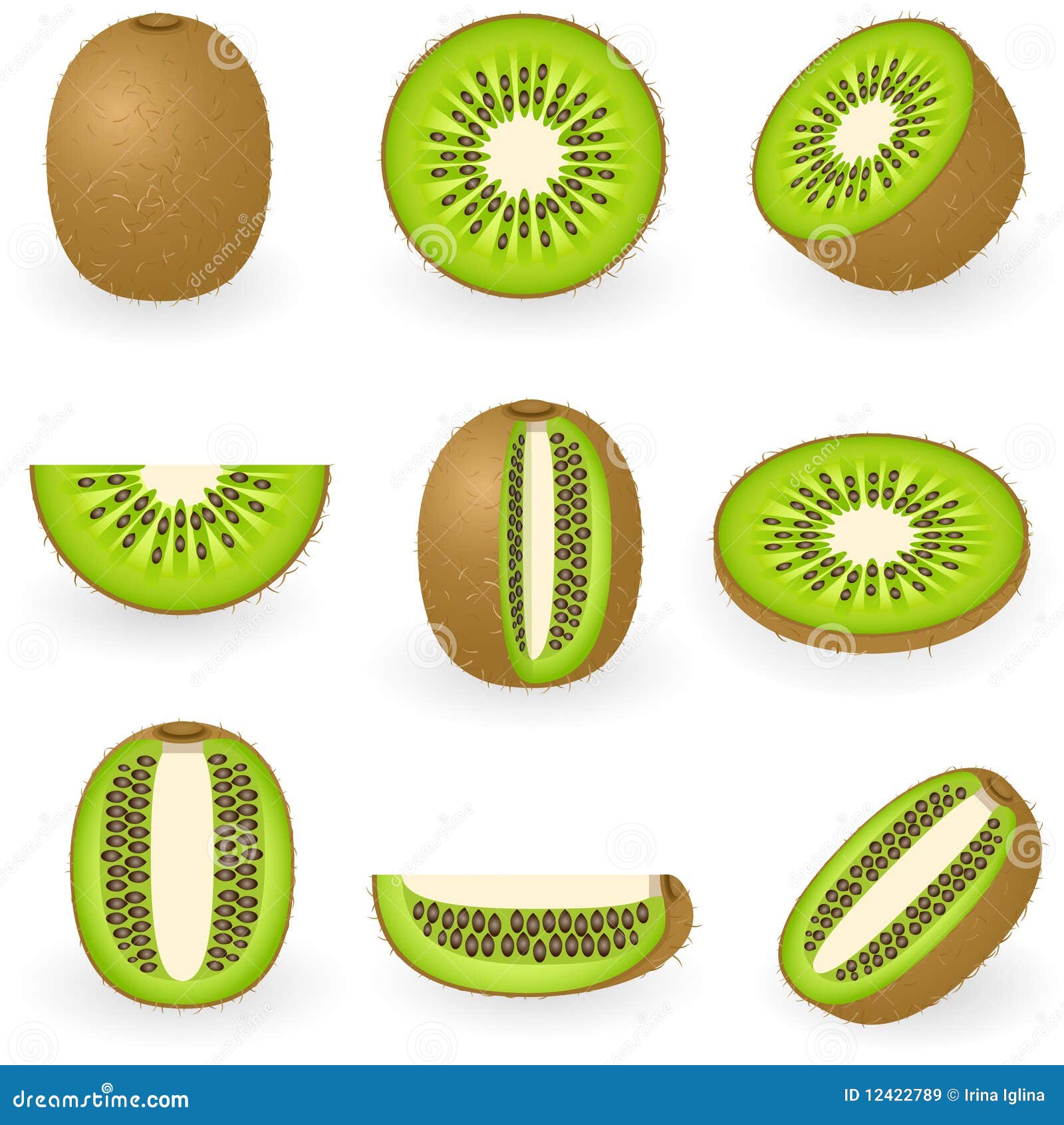 Kiwi Cartoon Vector | CartoonDealer.com #24997247