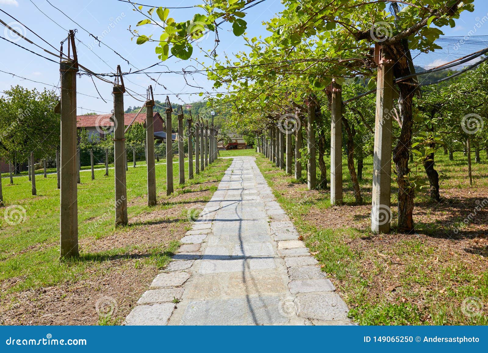 Tiled Path Curve In Park Forest. Bench Resort Area Stock Image ...