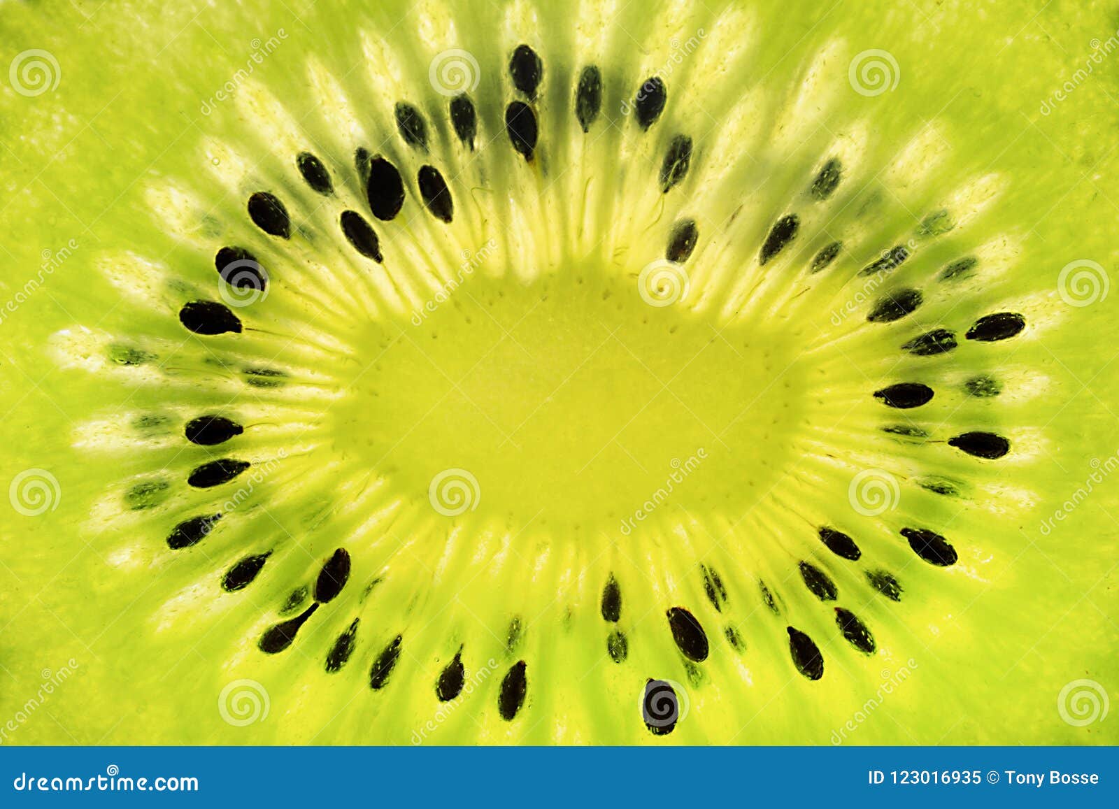 Kiwi Background stock image. Image of organic, produce - 123016935