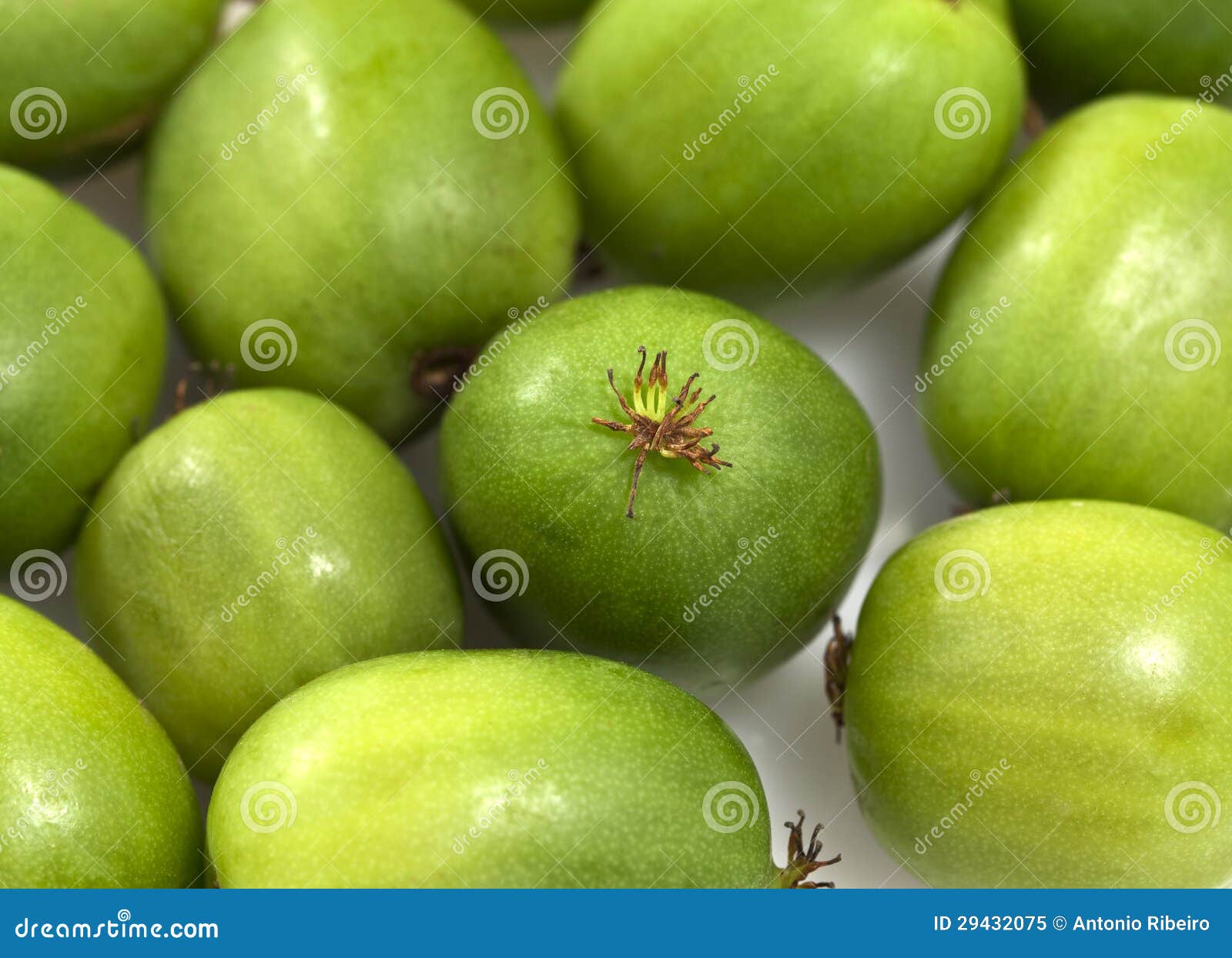 Kiwi Berry or Actinidia Arguta Stock Image - Image of skin, kiwifruit ...
