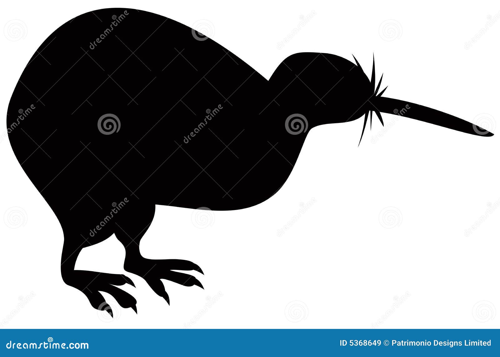 Kiwi bird stock vector. Illustration of symbol, bird, vector - 5368649