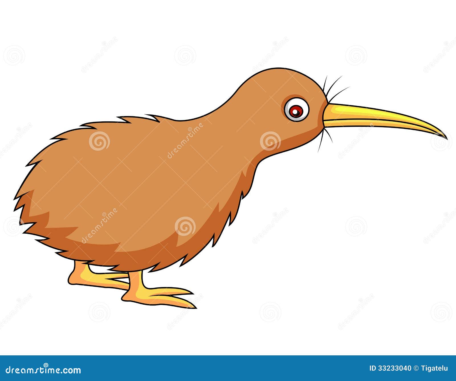 Kiwi bird cartoon stock vector. Illustration of wild - 33233040