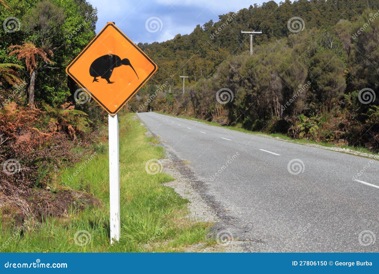 Kiwi Crossing Sign stock photo. Image of summer, beautiful - 27806150