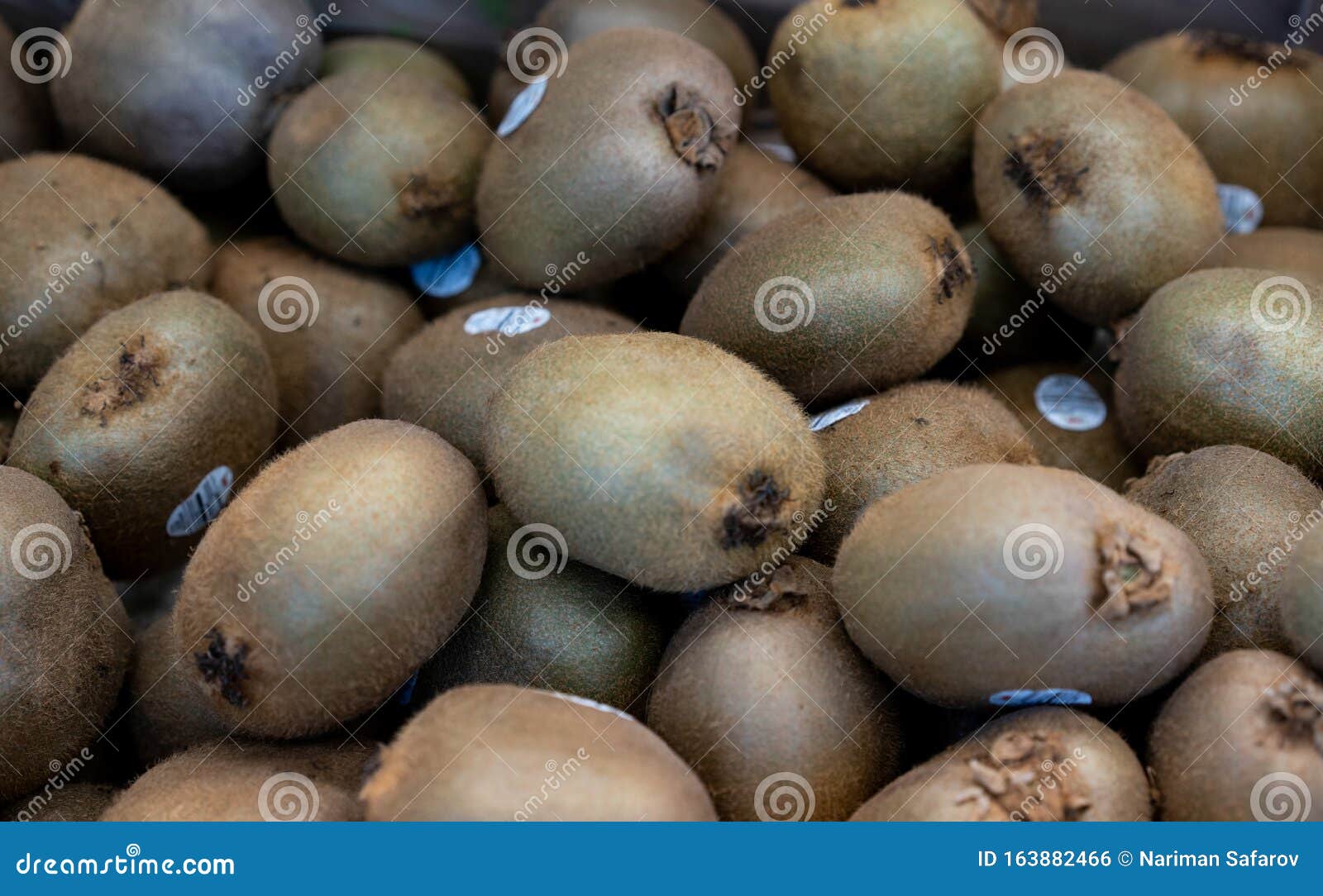 Kiwi on display for sale stock photo. Image of lifestyle - 163882466