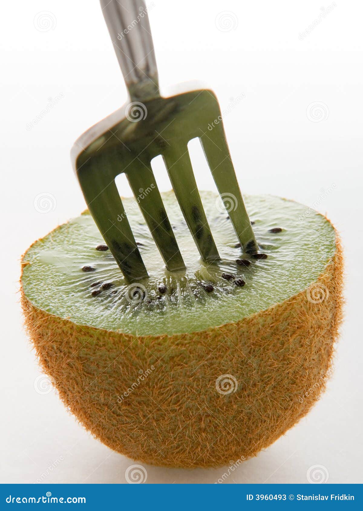 Furry Seed Pod Stock Photos - Free & Royalty-Free Stock Photos from ...