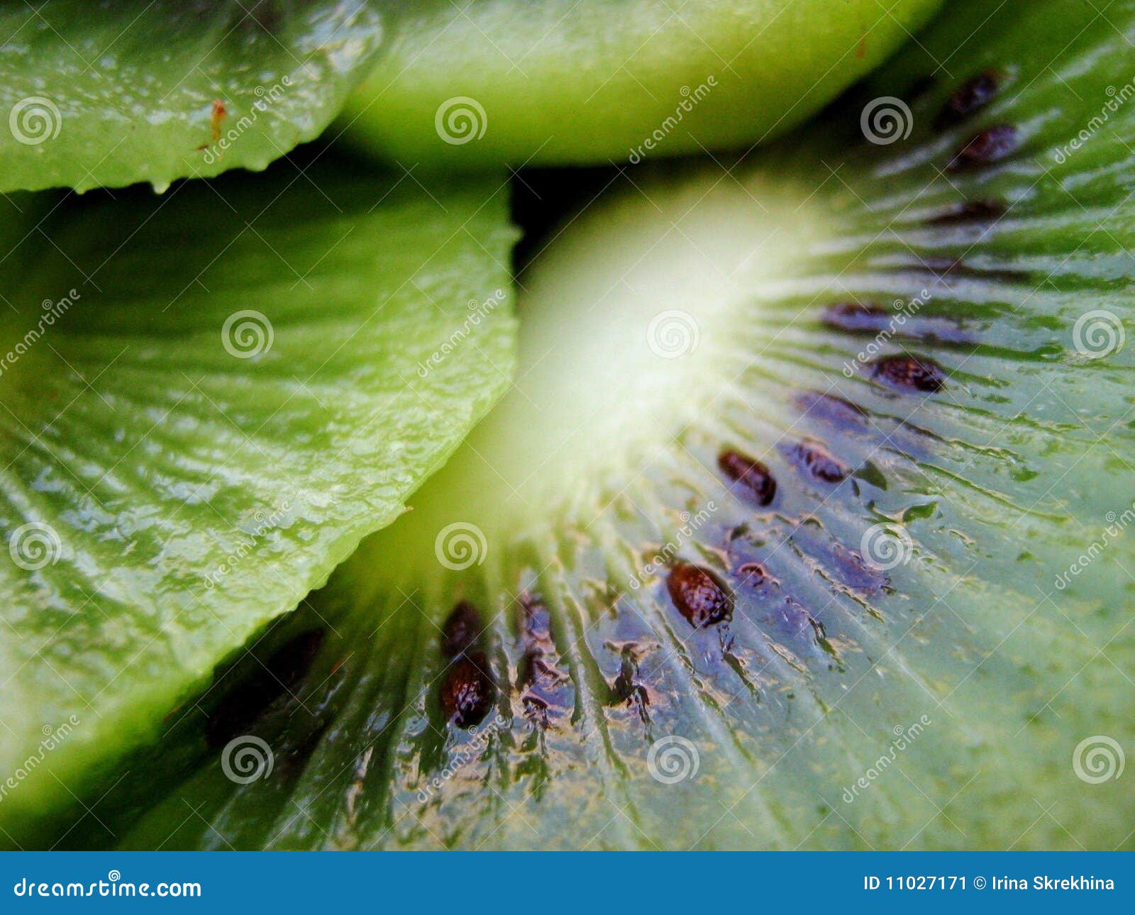 Kiwi fruit stock image. Image of fruity, slice, freshness - 11027171