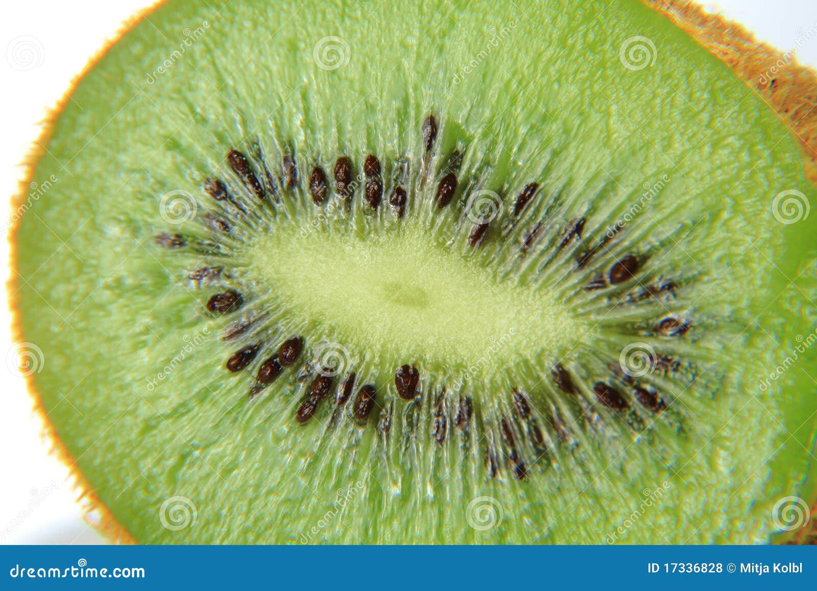 Kiwi fruit stock photo. Image of healthy, citrus, fruit - 17336828