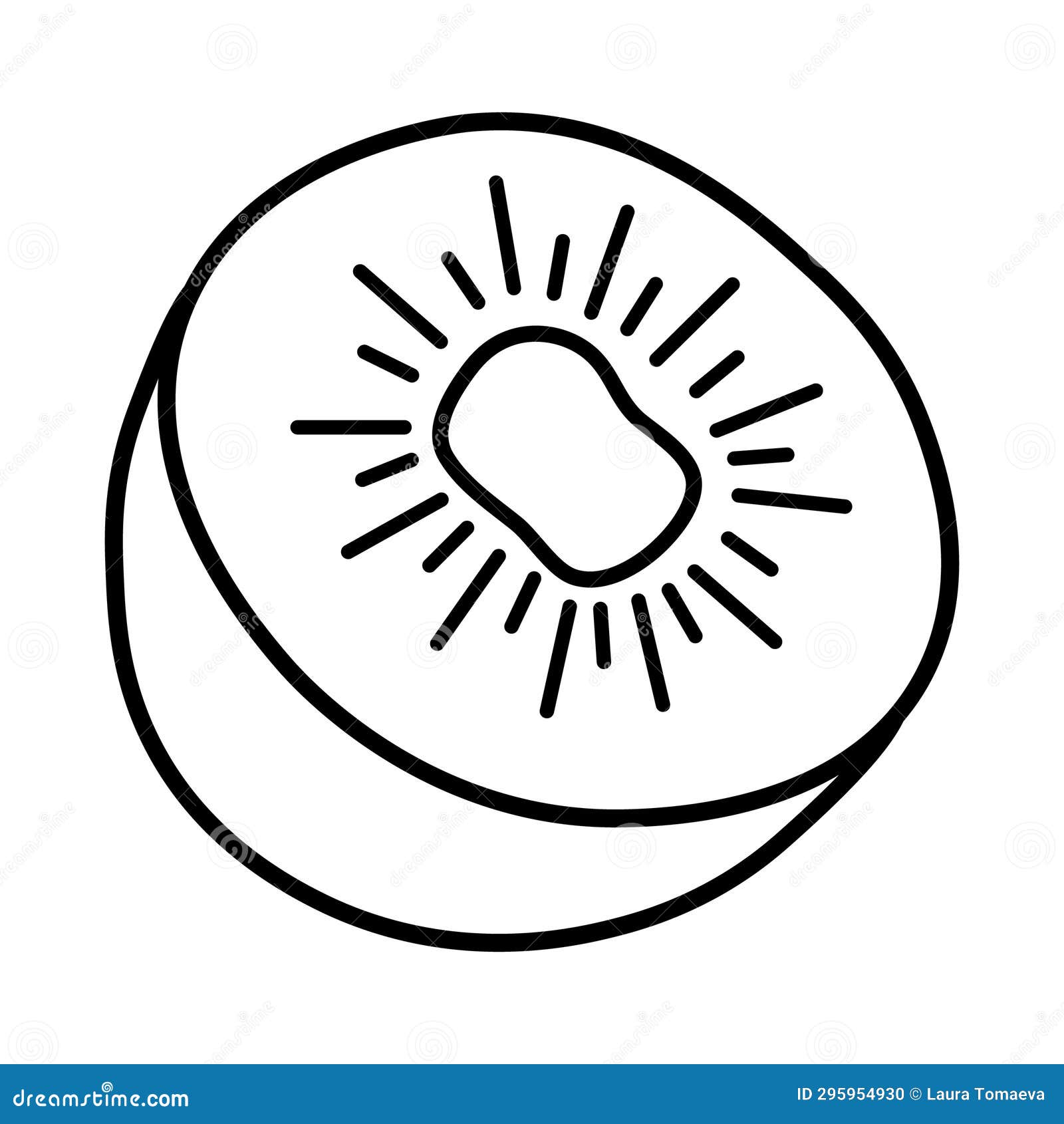 Kiwi Fruit Black Outline Contour Isolated on White Background, Flat ...