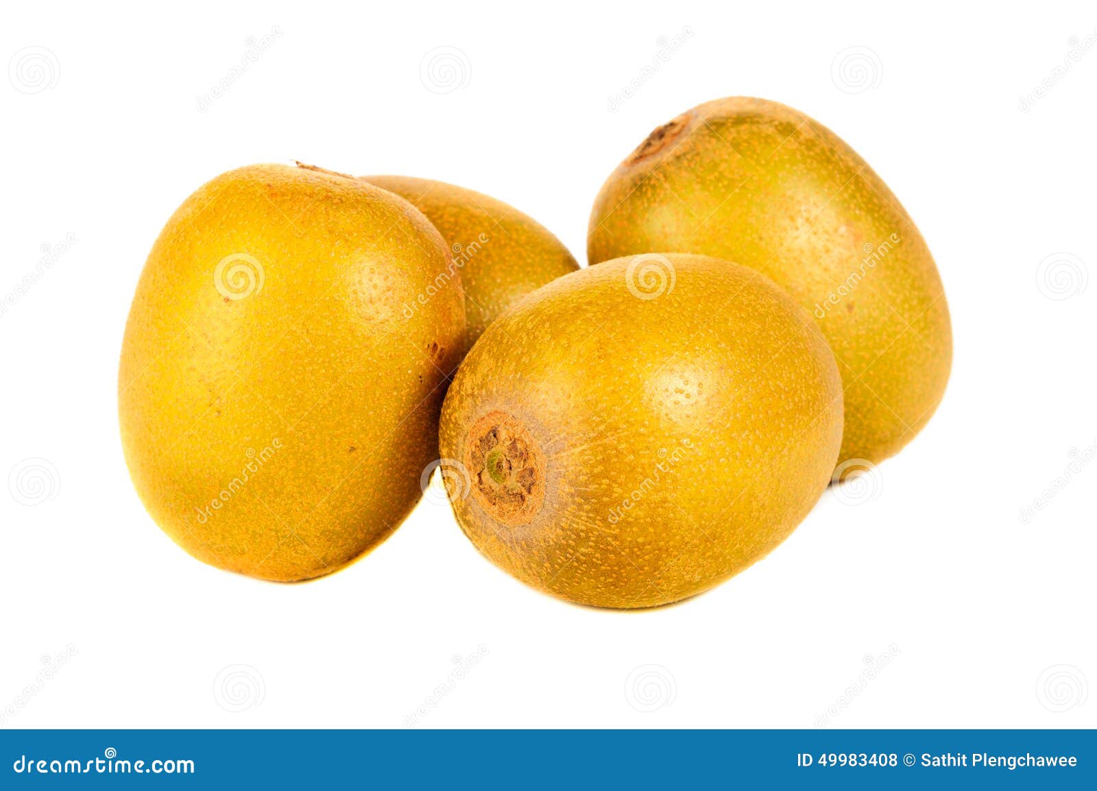 Kiwi fruit, gold kiwi stock photo. Image of fresh, seed - 49983408