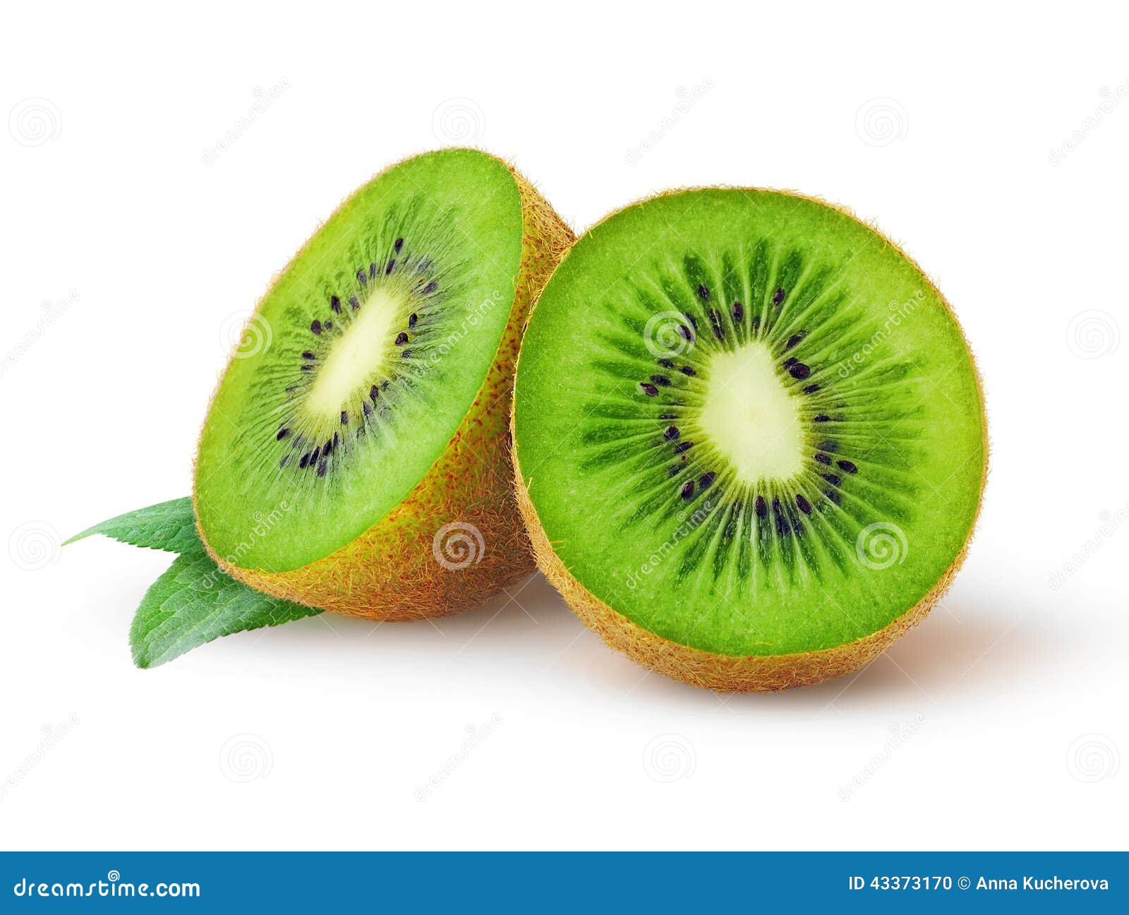 Kiwi Fruit Cut On Two Isolated On White Background Top View. Pulp And ...
