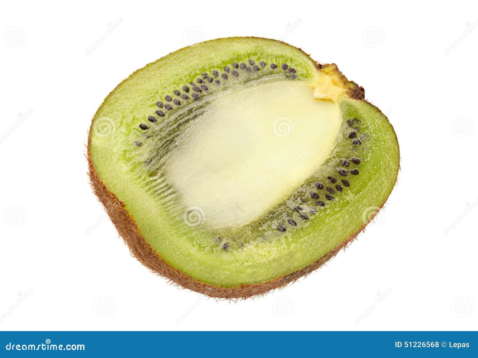 Kiwi fruit slice stock photo. Image of color, fruit, freshness - 51226568