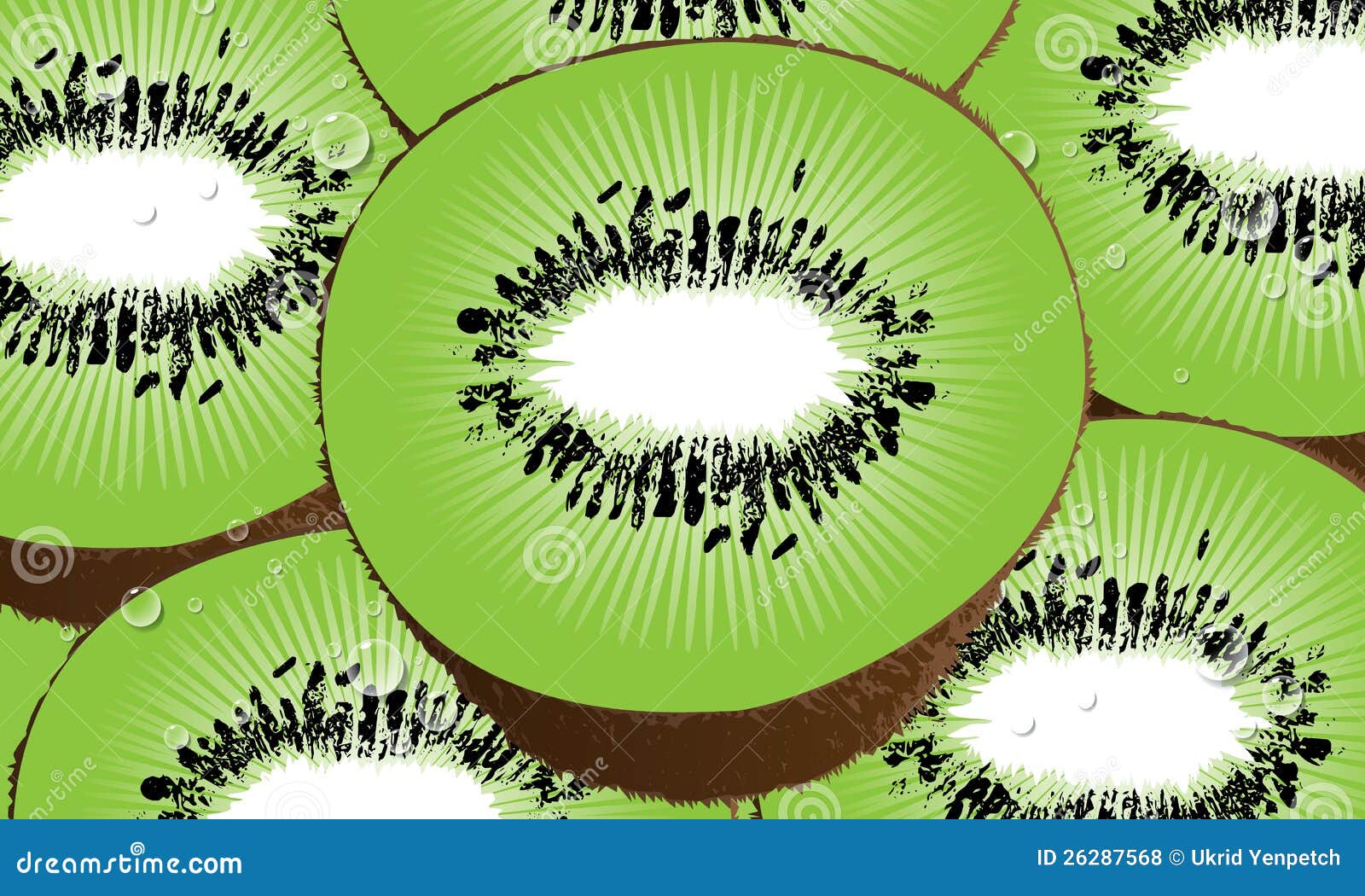 Kiwi Fruit Vector stock vector. Illustration of fruit - 26287568